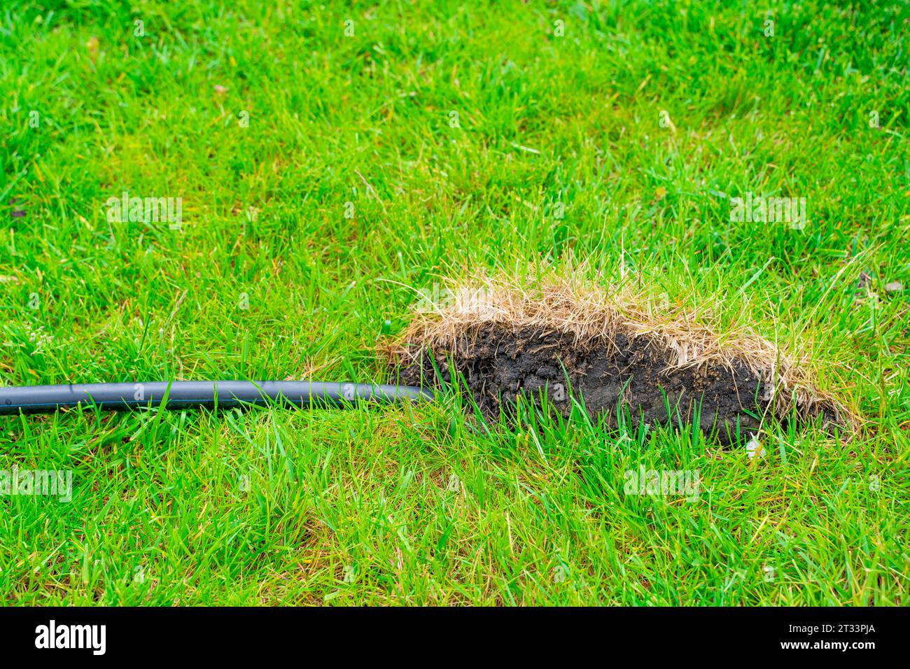 A black suspicious pipe enters the soil under the green grass. Disposal ...