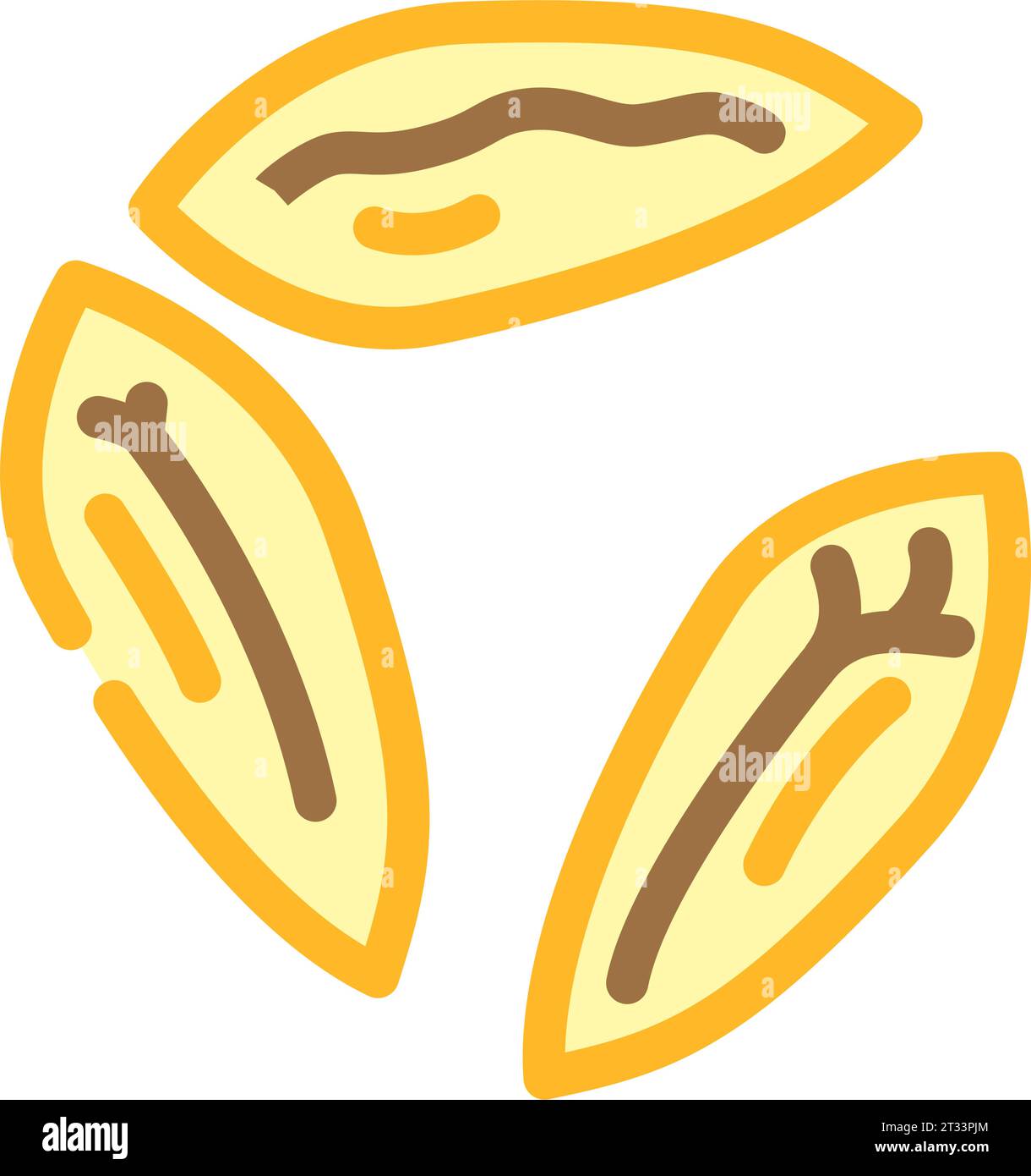 barley grain unpeeled color icon vector illustration Stock Vector Image ...