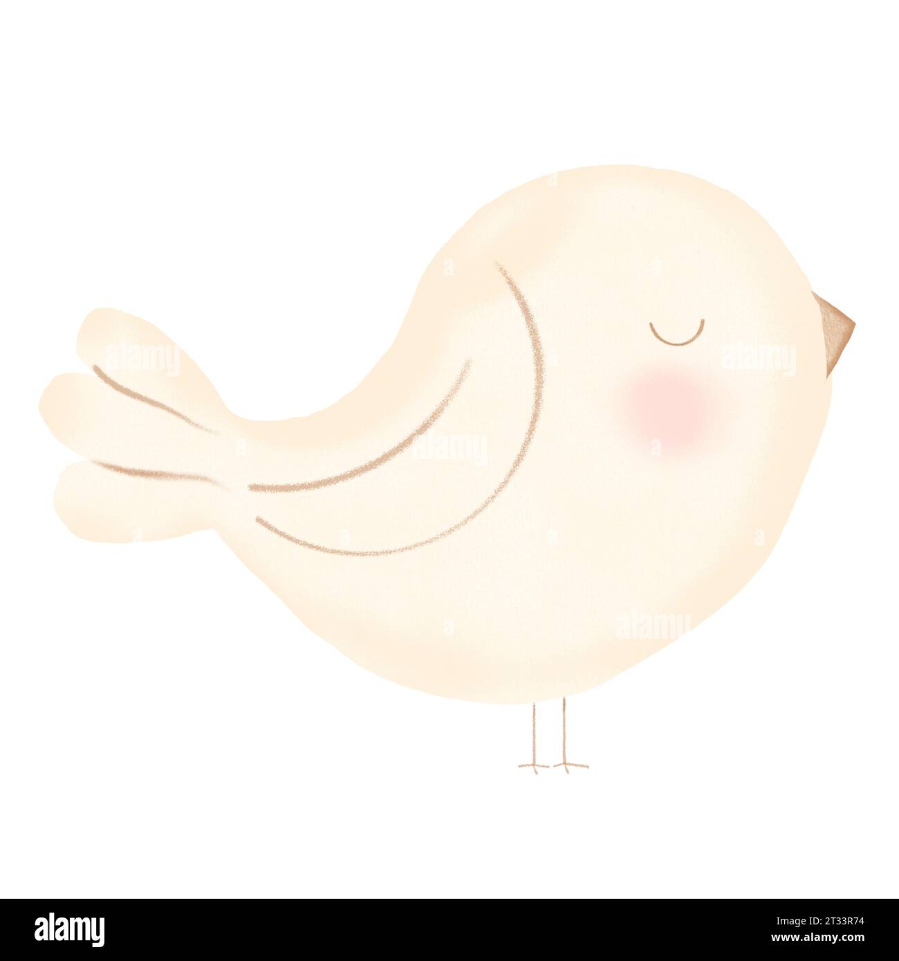 illustration hand drawing cute bird. no background clip art for your ...