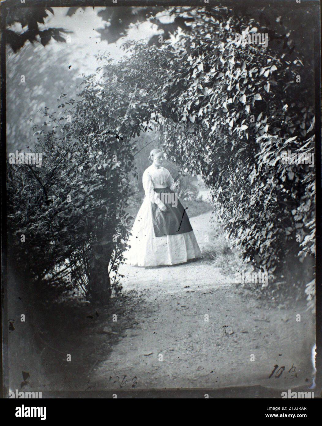 Portrait of Miss Harper - Victorian Collodion Glass Plate c1863 Stock ...