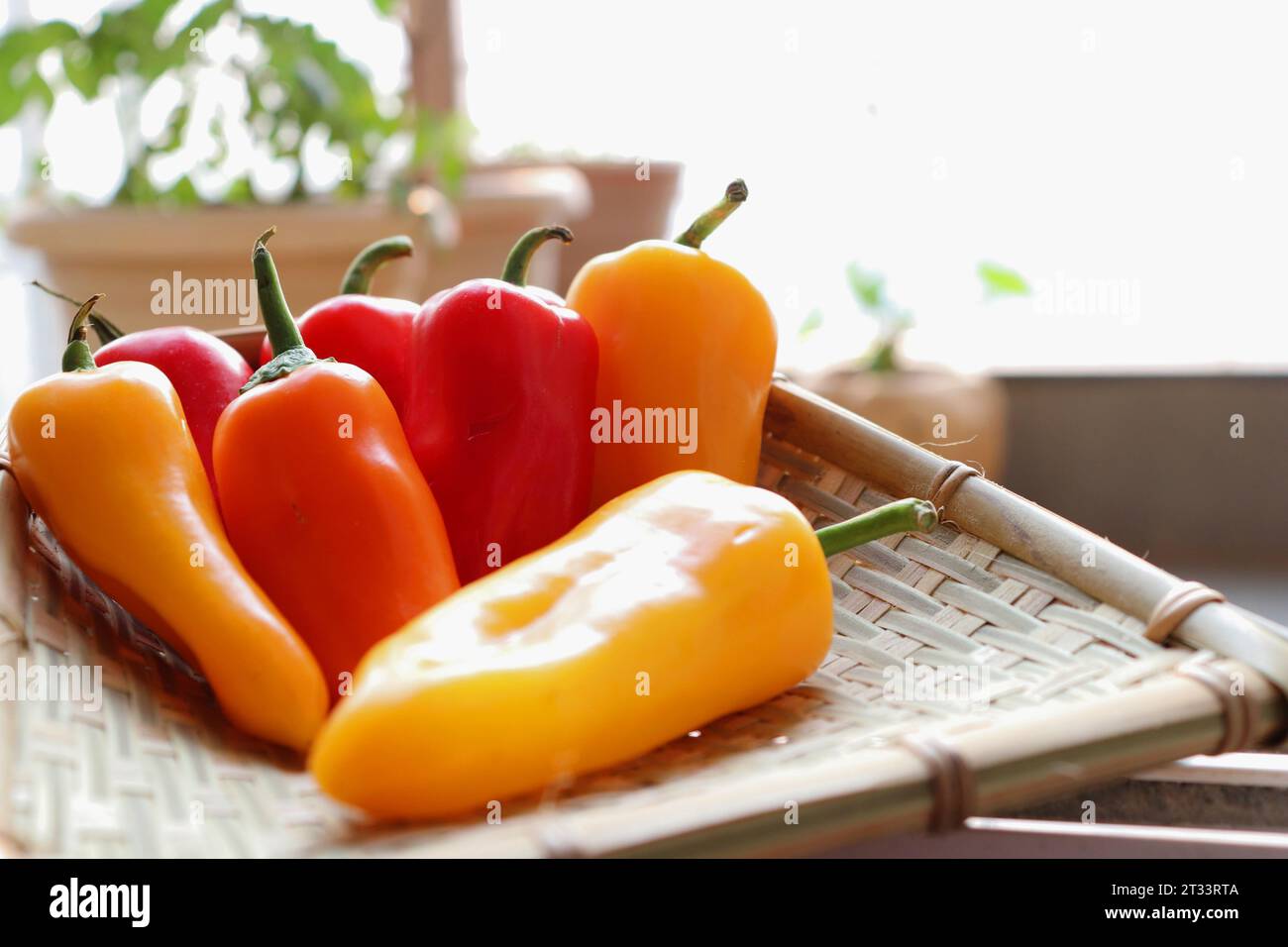 Chilli varieties hi-res stock photography and images - Alamy