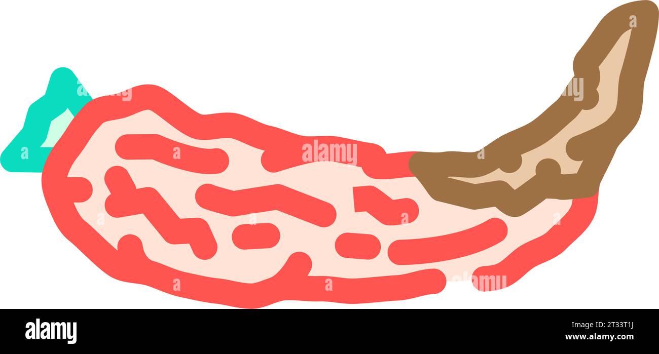 pepper rotten food color icon vector illustration Stock Vector Image ...