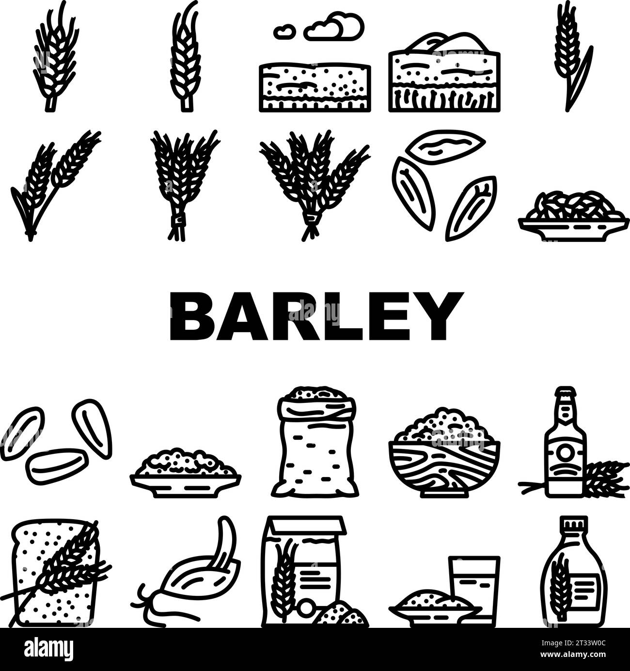 barley grain wheat icons set vector Stock Vector Image & Art - Alamy