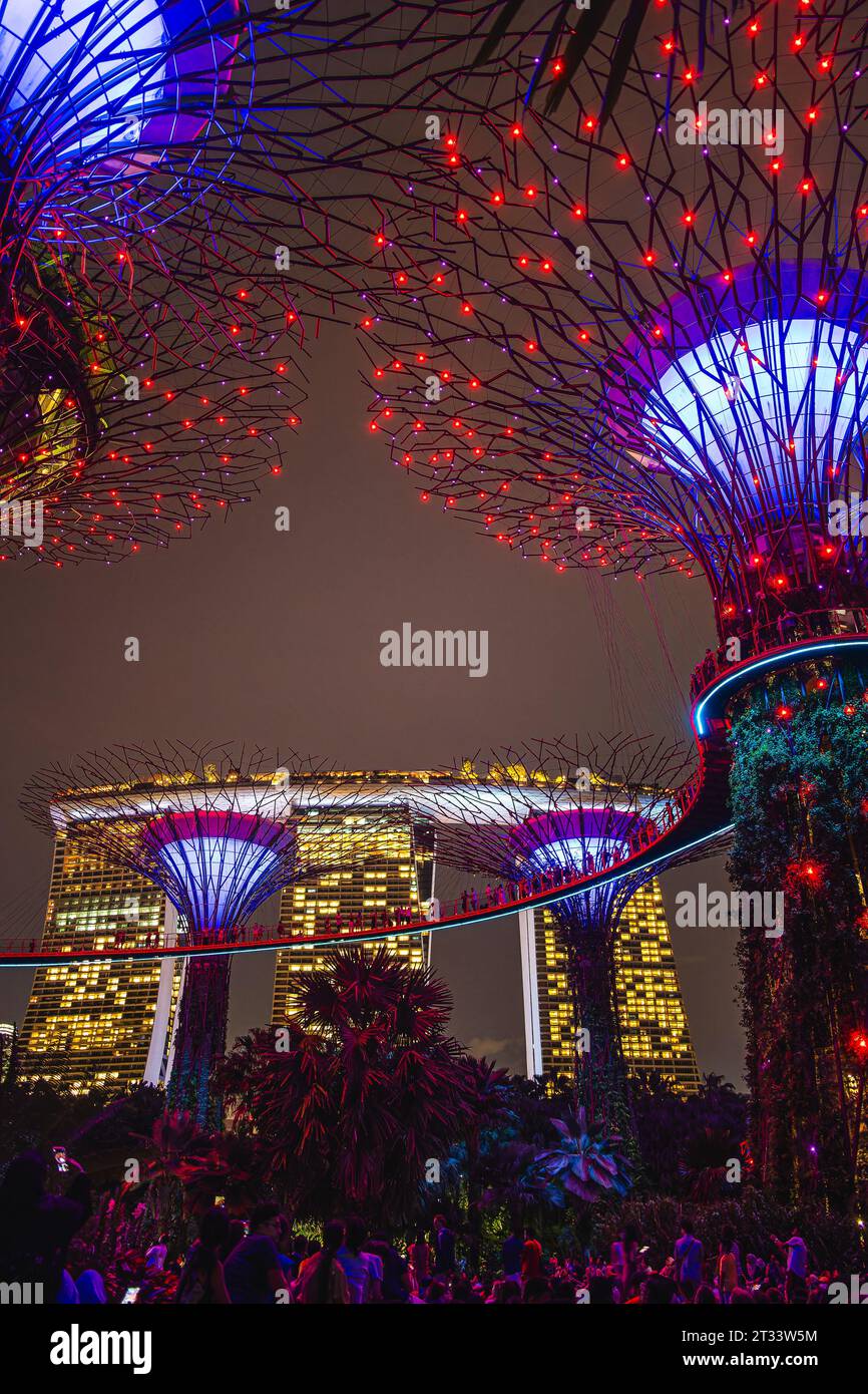 Singapore, Super Trees of Gardens by the Bay Stock Photo - Alamy