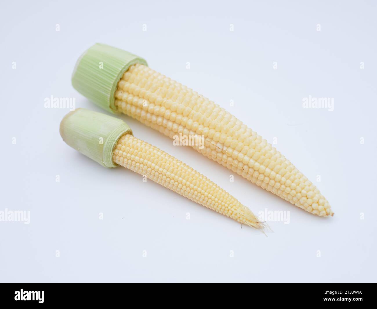 peeled baby corn isolated on white background Stock Photo - Alamy