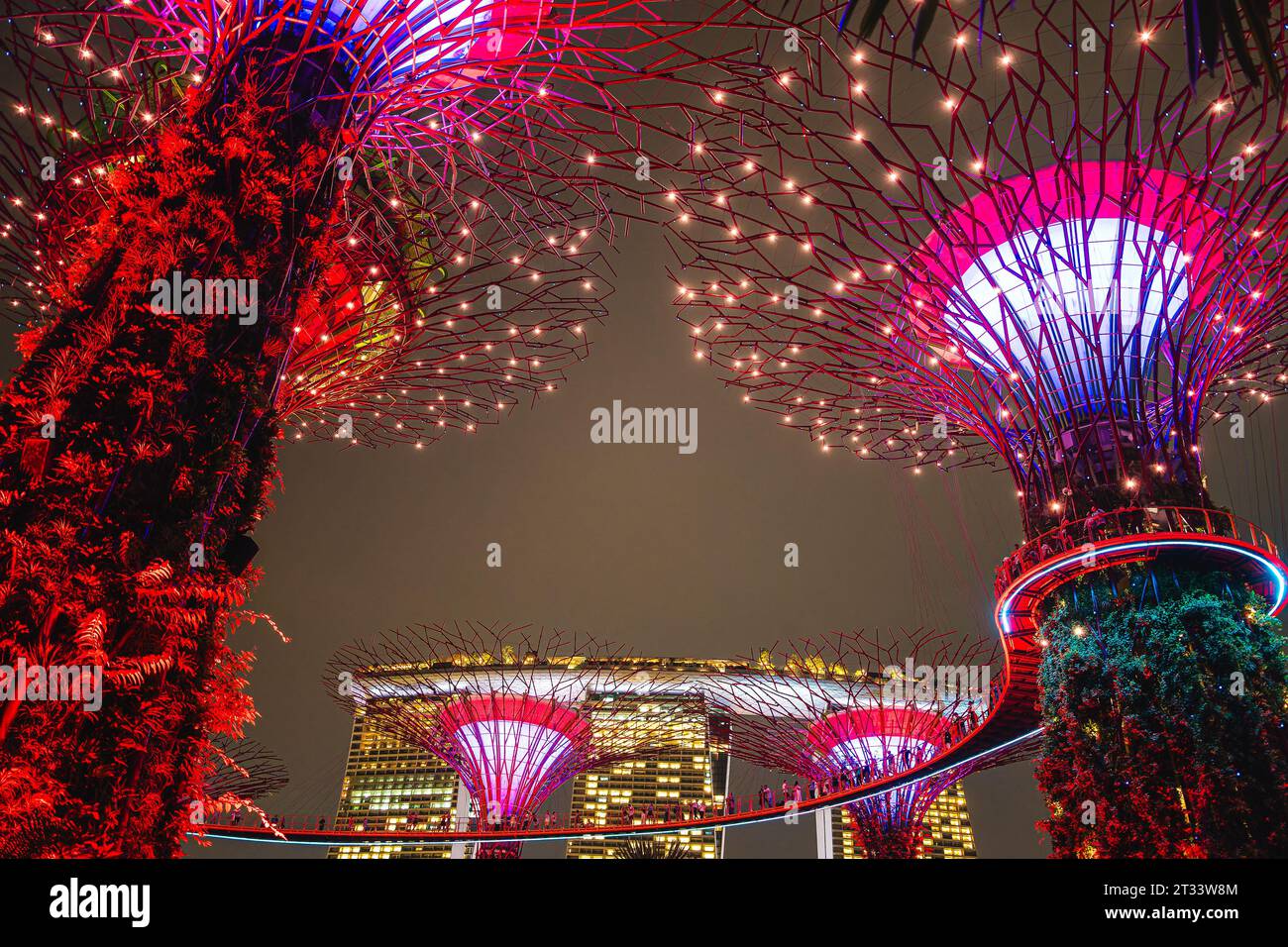 Singapore, Super Trees of Gardens by the Bay Stock Photo - Alamy