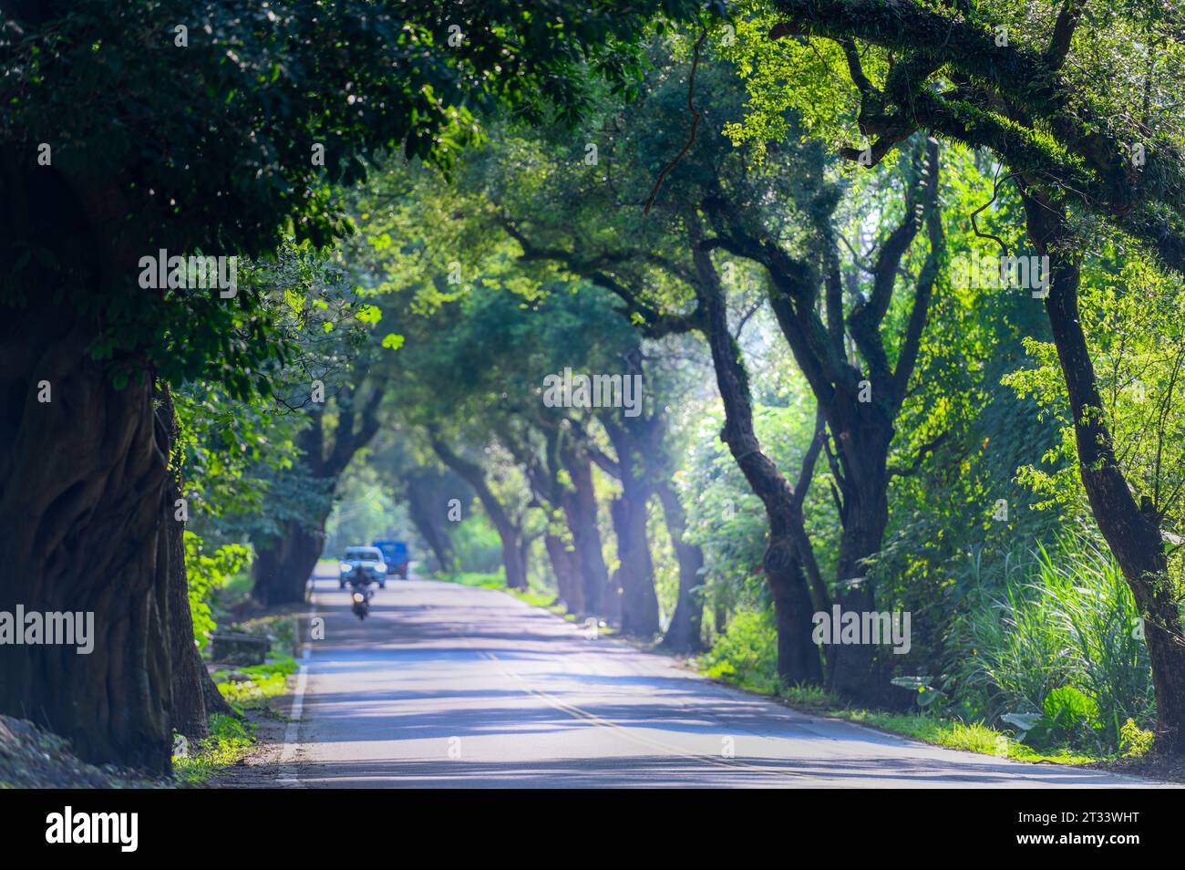 Jiji hi-res stock photography and images - Alamy