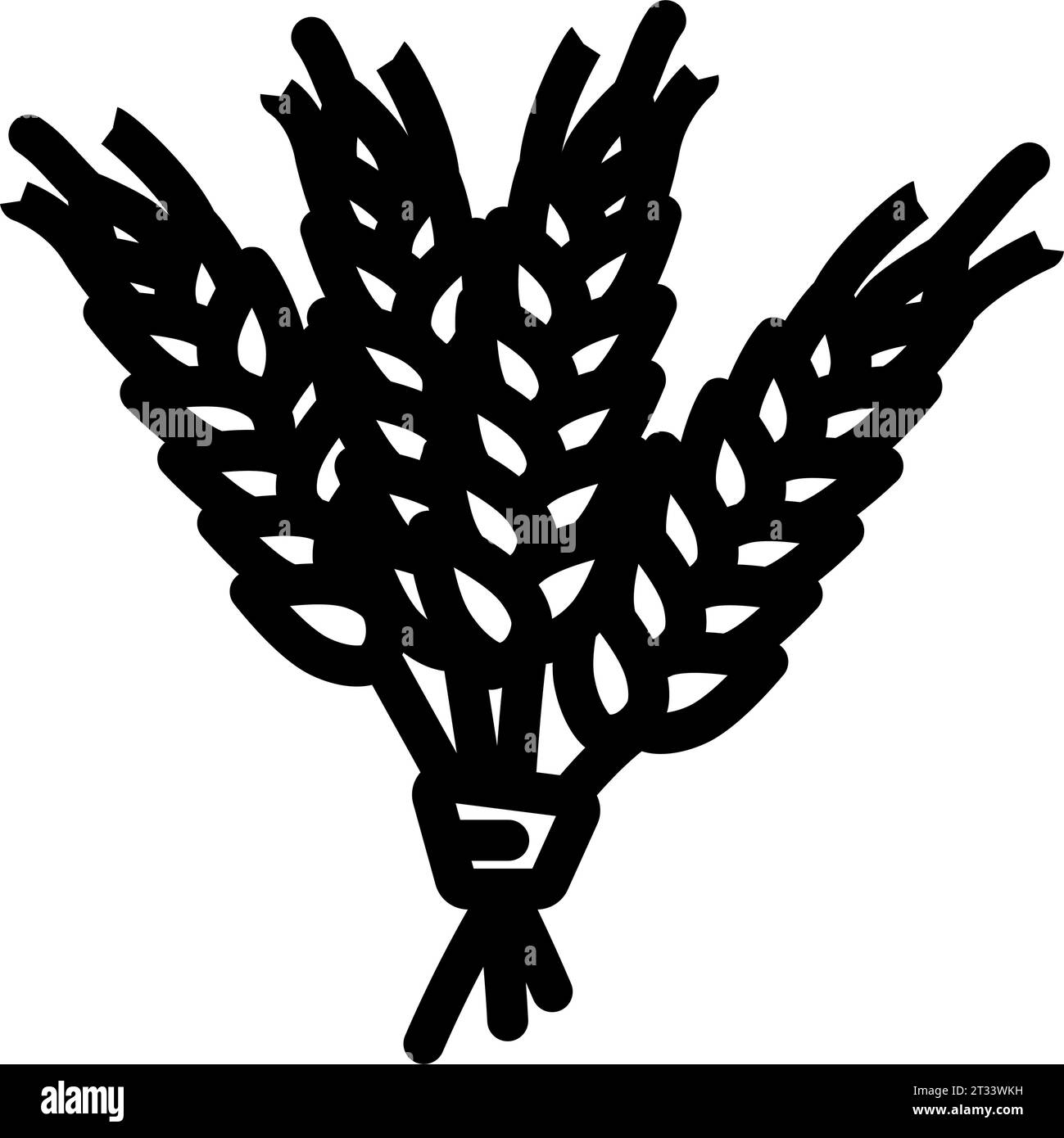 ear barley line icon vector illustration Stock Vector Image & Art - Alamy ear barley line icon vector illustration Stock Vector Image & Art - Alamy