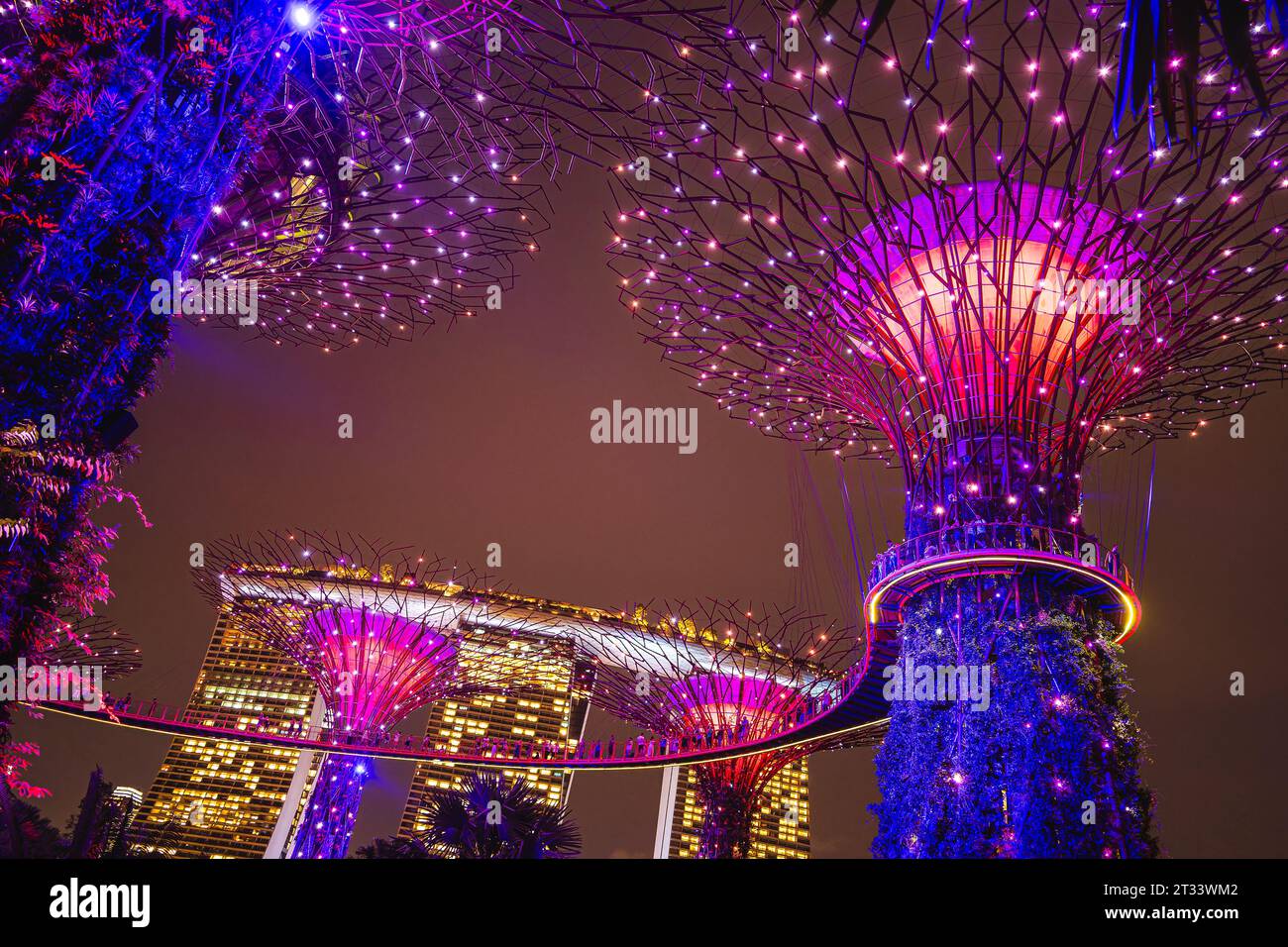 Singapore, Super Trees of Gardens by the Bay Stock Photo - Alamy