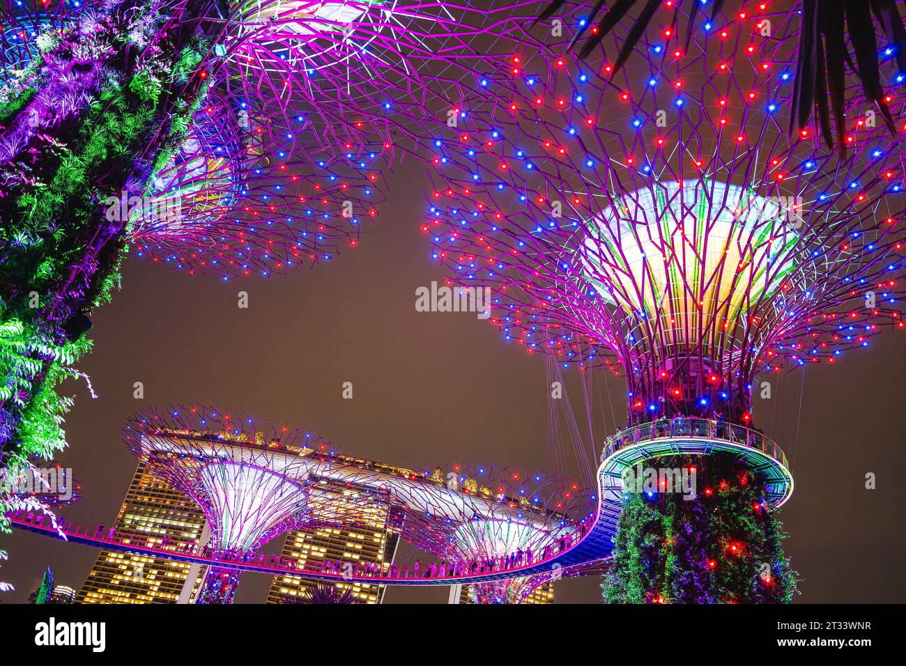 Singapore, Super Trees of Gardens by the Bay Stock Photo - Alamy