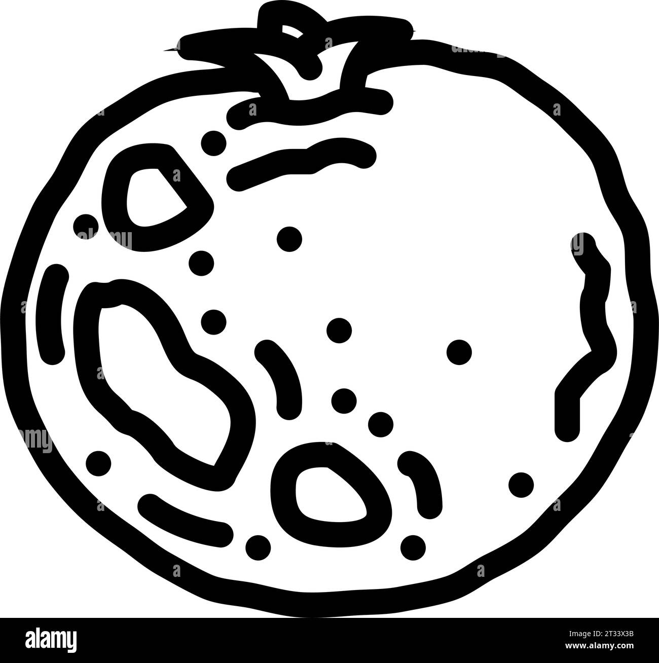 Rotten tomato Black and White Stock Photos & Images - Alamy