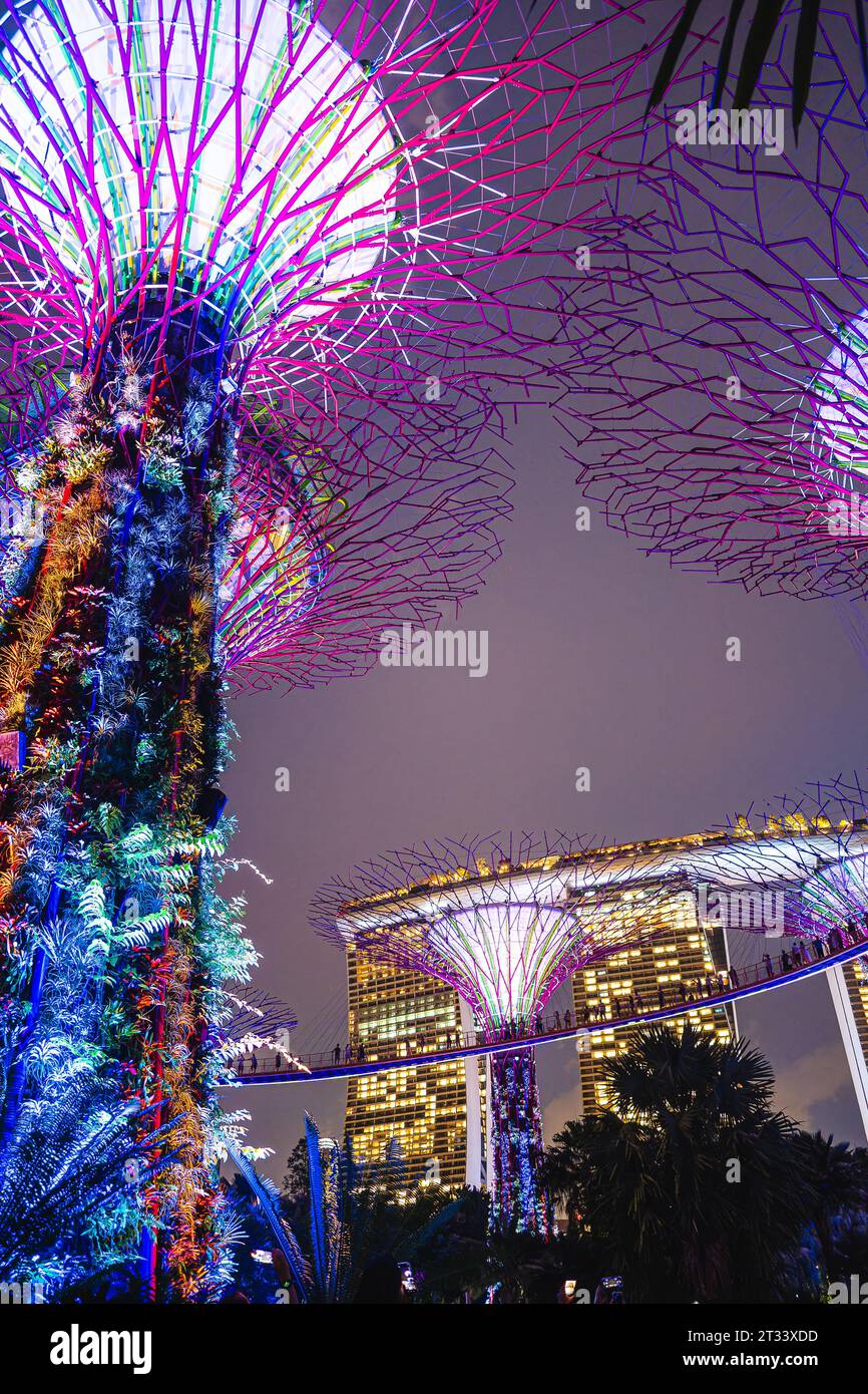 Singapore, Super Trees of Gardens by the Bay Stock Photo - Alamy
