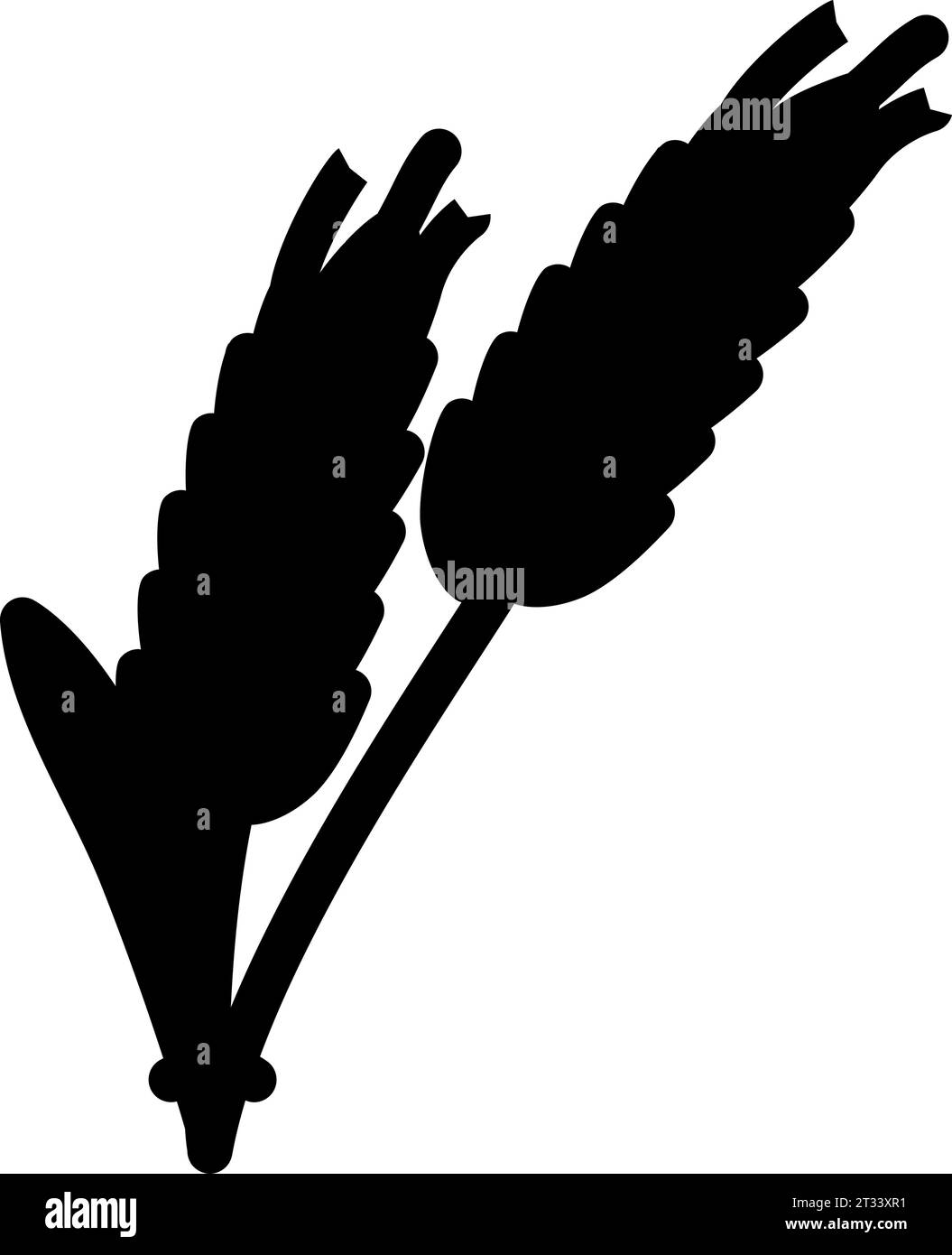 ear barley grain glyph icon vector illustration Stock Vector Image ...