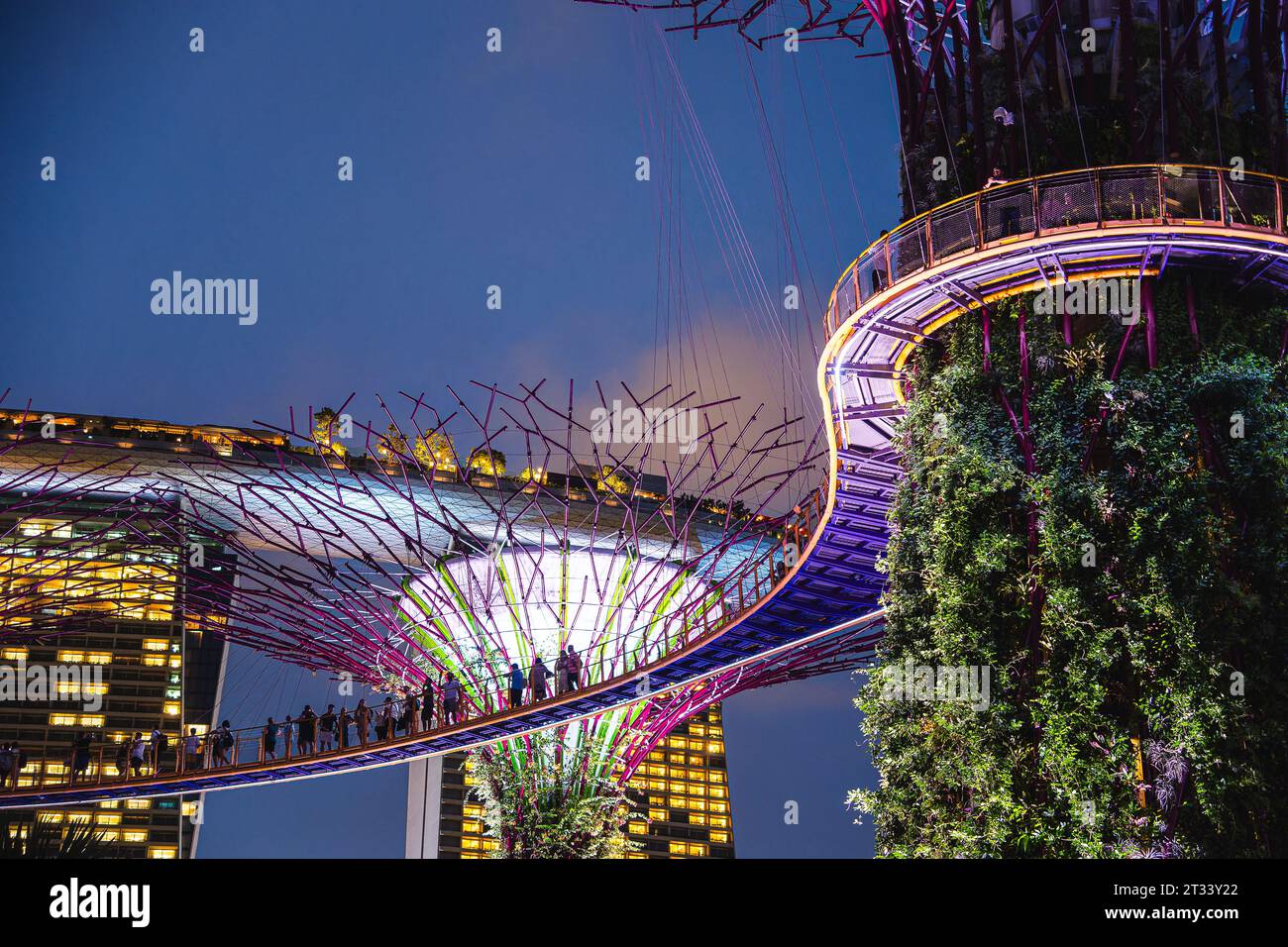 Singapore, Super Trees of Gardens by the Bay Stock Photo - Alamy