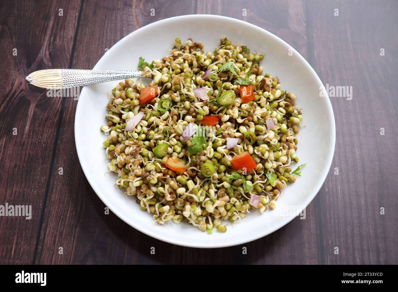 Sprouted Moong Beans Protein Rich Salad Healthy Snack Items Sprouted sprouted-moong-beans-protein-rich-salad-healthy-snack-items-sprouted