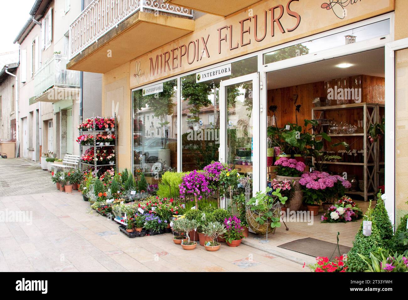 Flower shop in market square hi-res stock photography and images - Alamy