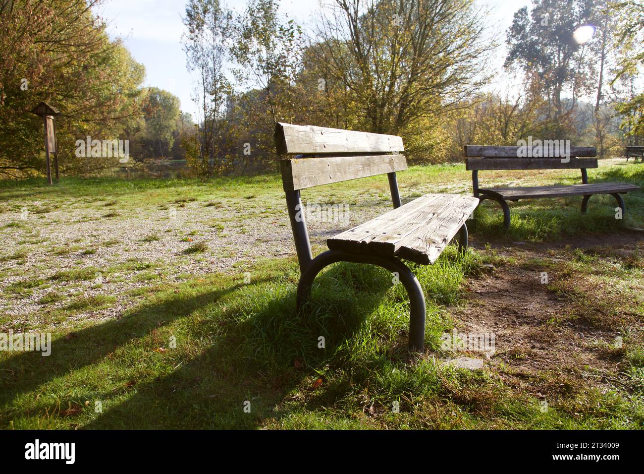 Benches in a clearing of a park at sunset Stock Photo - Alamy