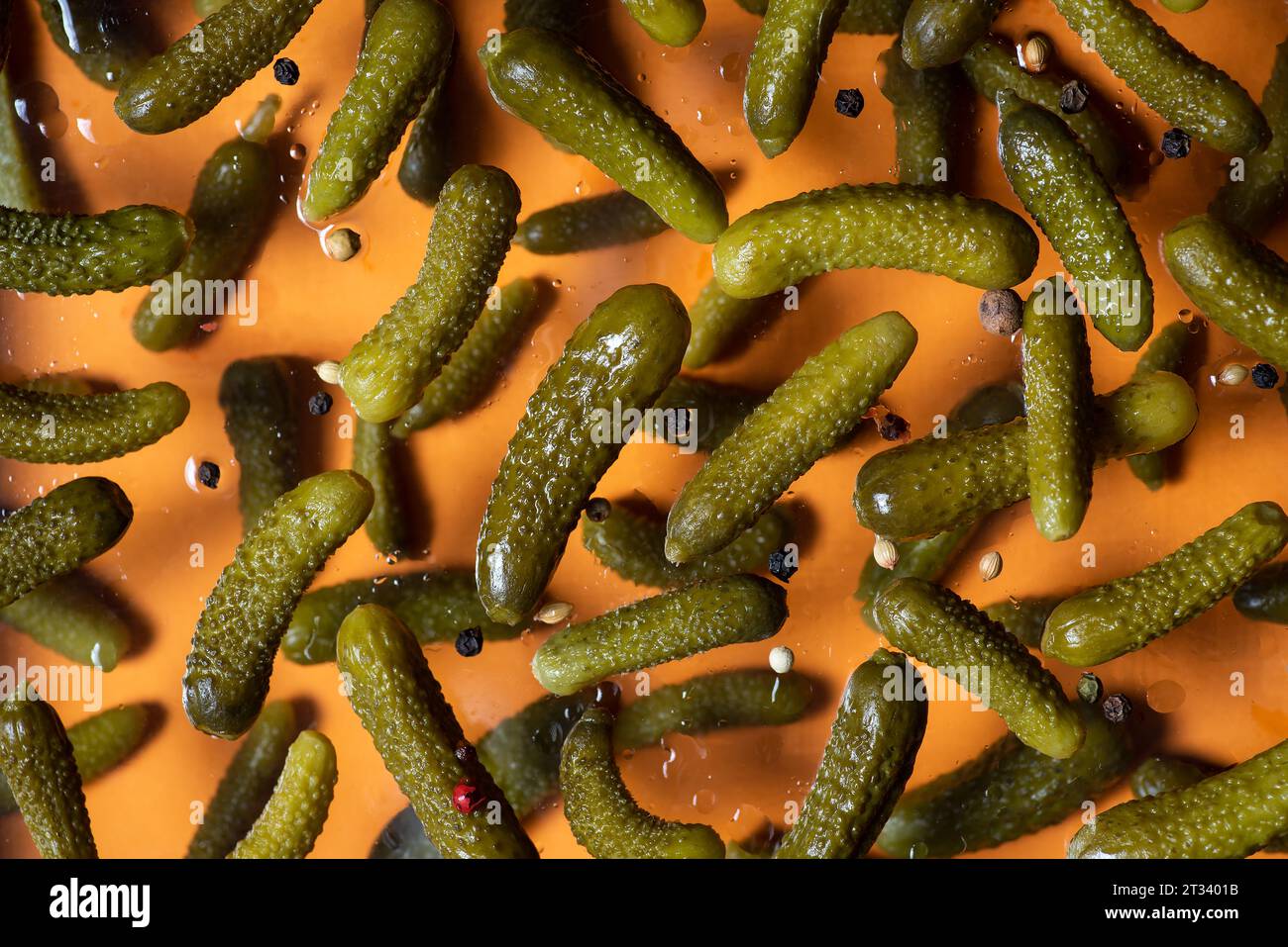 Falling delicious marinated pickled cucumbers over an orange background ...