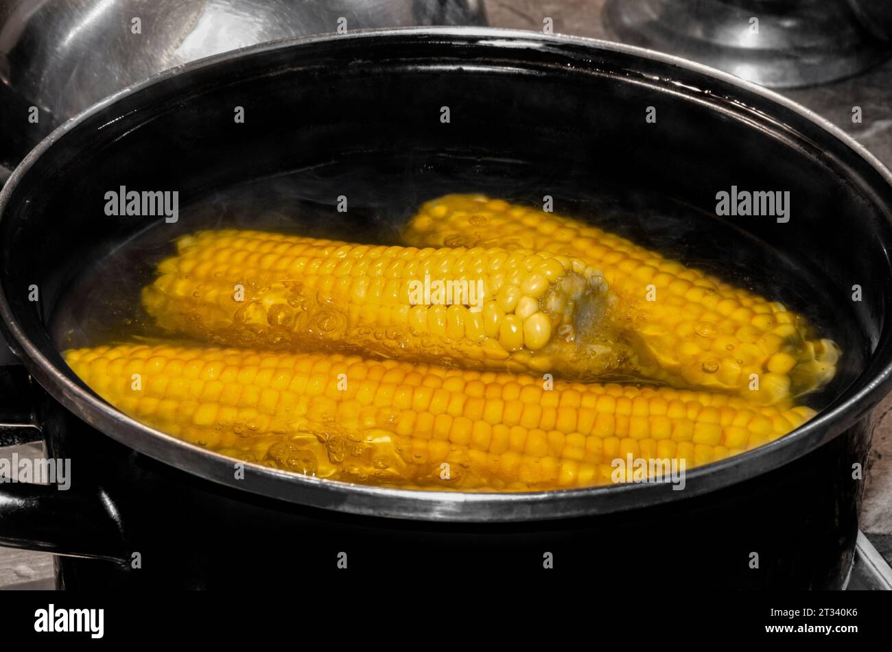 Yellow ripe corn is boiled in boiling water in a metal pan Stock Photo ...