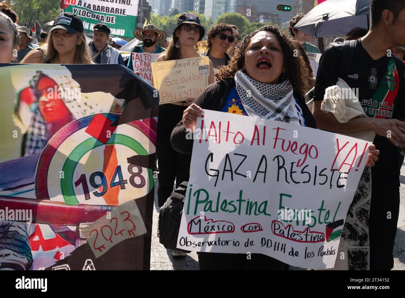 Pro-Palestine march, Mexico City, Mexico. 22nd Oct, 2023. a woman ...
