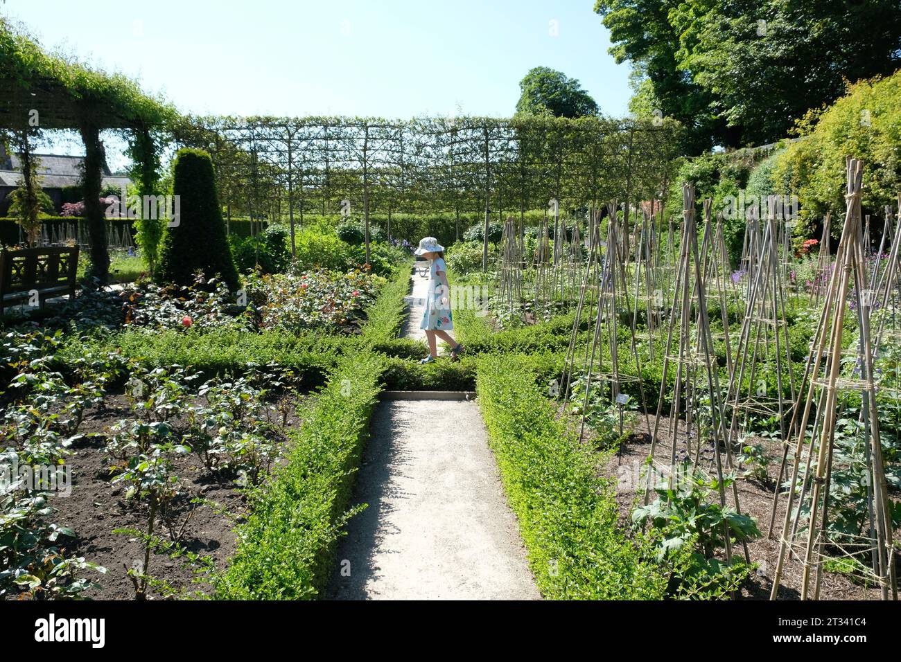 Alnwick gardens, northumberland, UK Stock Photo - Alamy