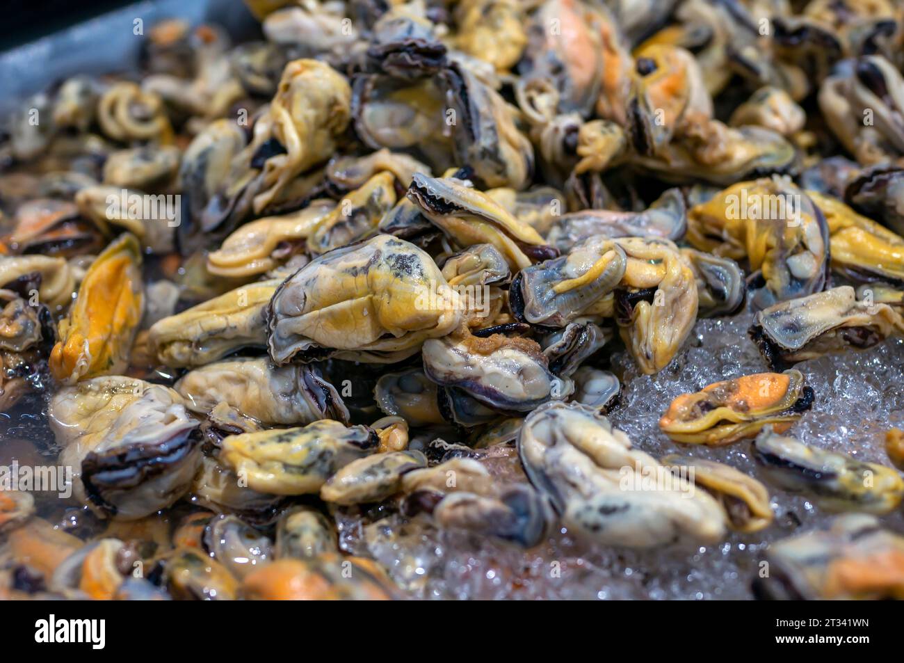 Clam meat hi-res stock photography and images - Alamy