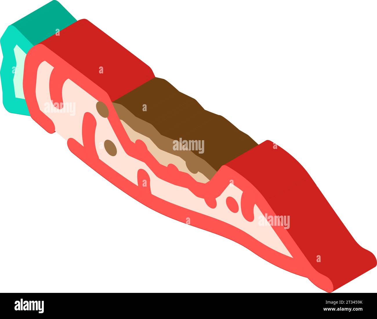 carrot rotten food isometric icon vector illustration Stock Vector ...