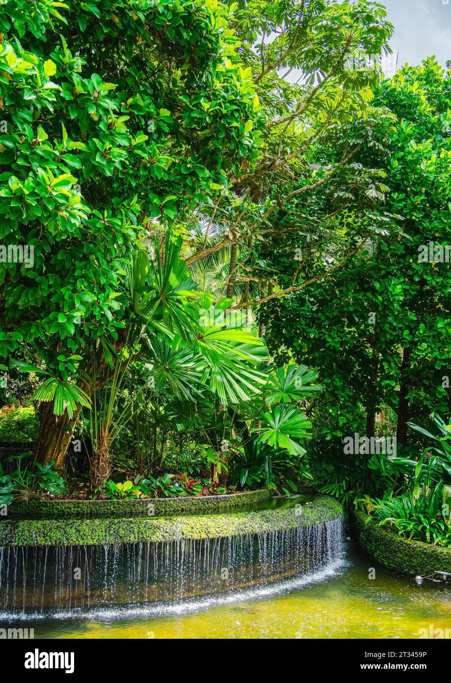 Singapore Botanical Gardens Stock Photo - Alamy