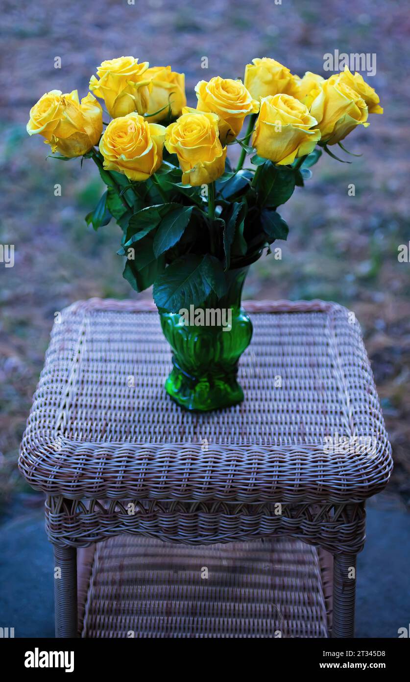 Green vase with a dozen beautiful yellow roses placed on a wicker table ...