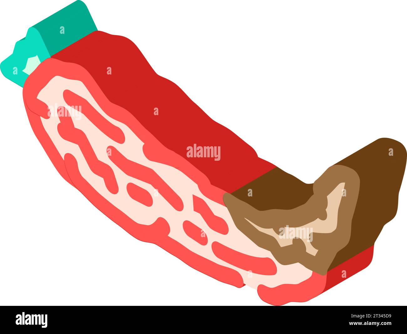 pepper rotten food isometric icon vector illustration Stock Vector ...