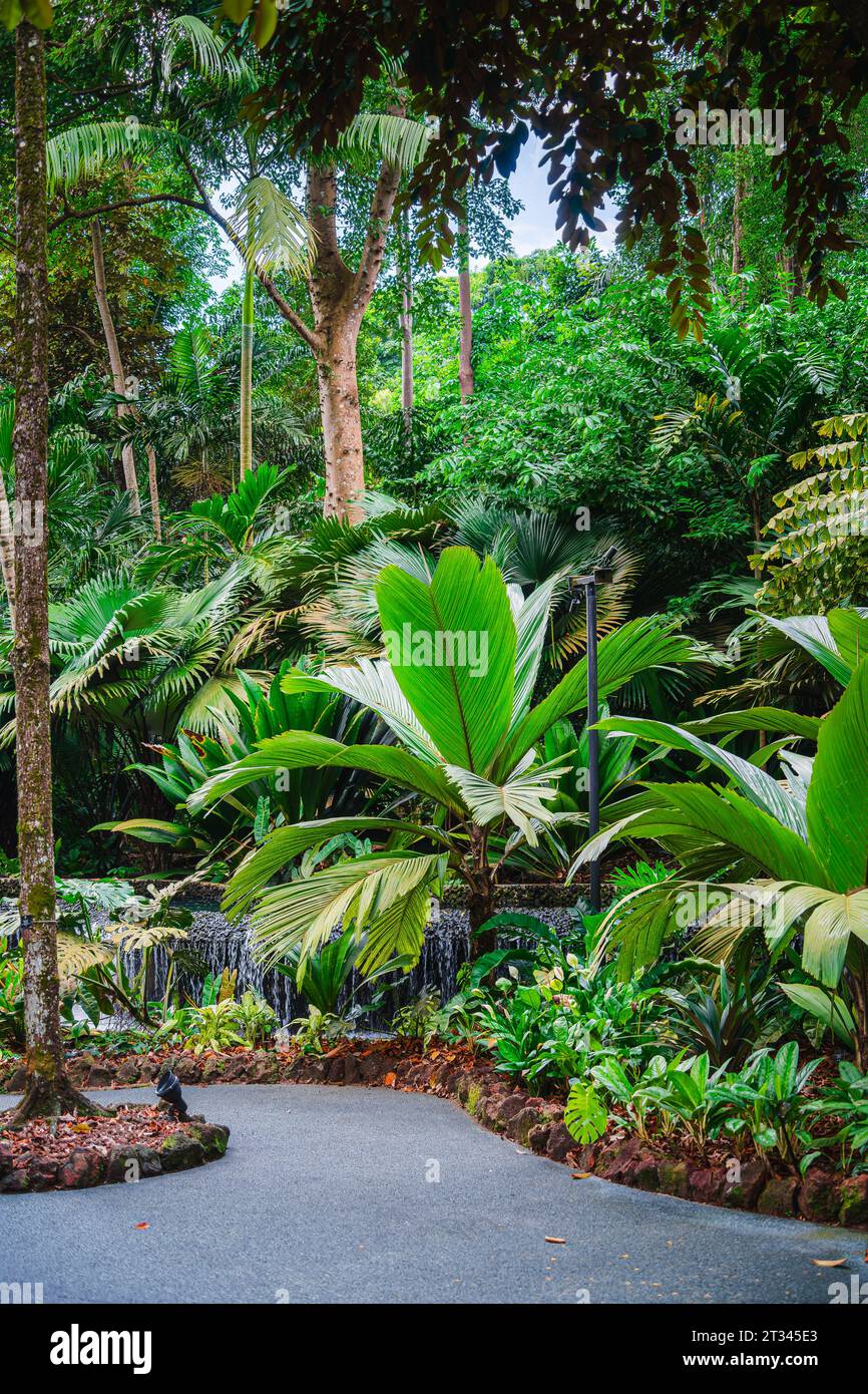 Singapore Botanical Gardens Stock Photo - Alamy