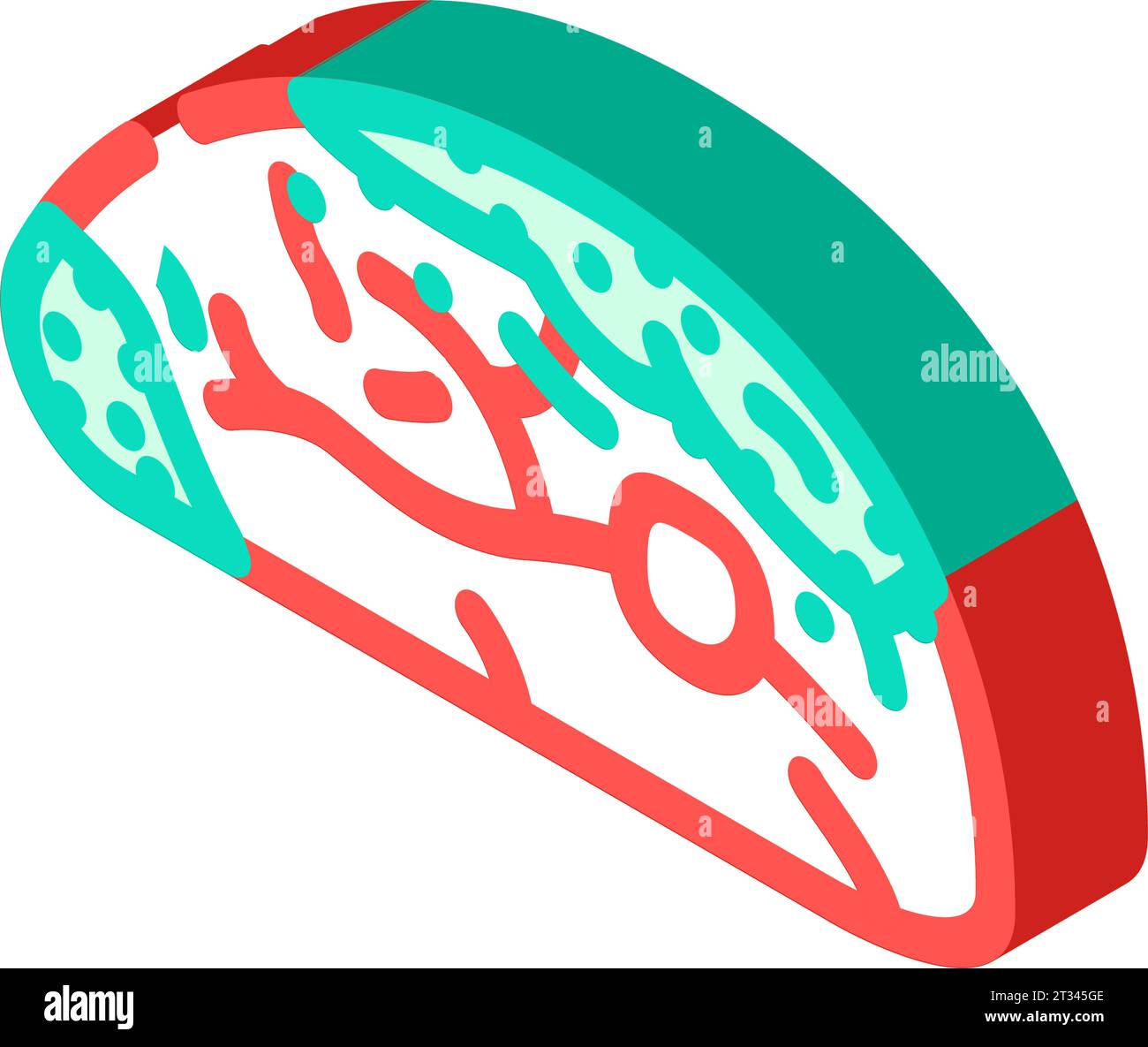 meat rotten food isometric icon vector illustration Stock Vector Image ...
