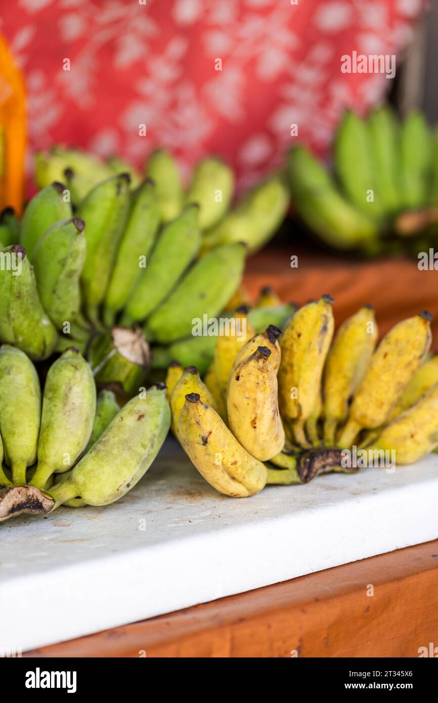 small Thai bananas, green and yellow fresh bananas at market. Pisang ...