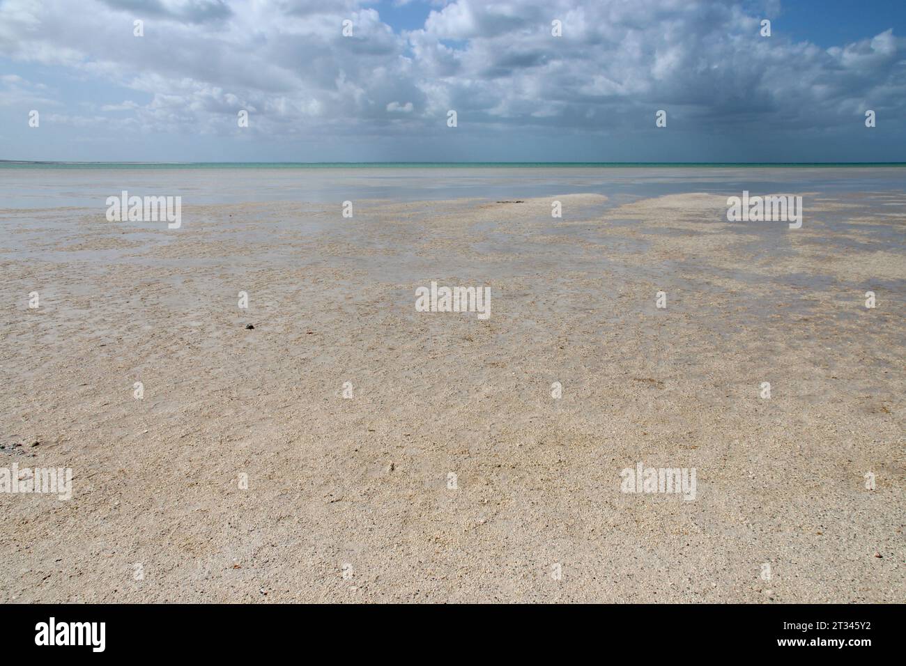 indian ocean at shell beach at shark bay in australia Stock Photo - Alamy