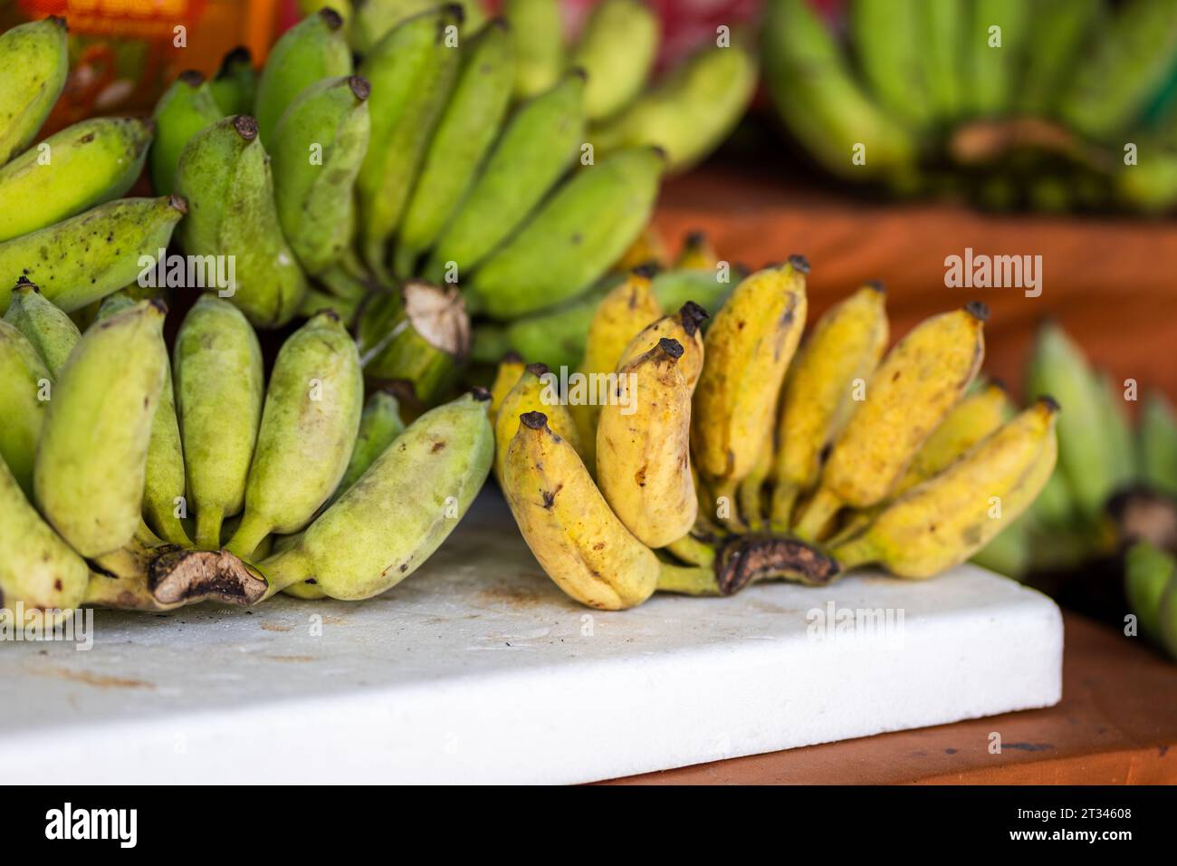 small Thai bananas, green and yellow fresh bananas at market. Pisang ...