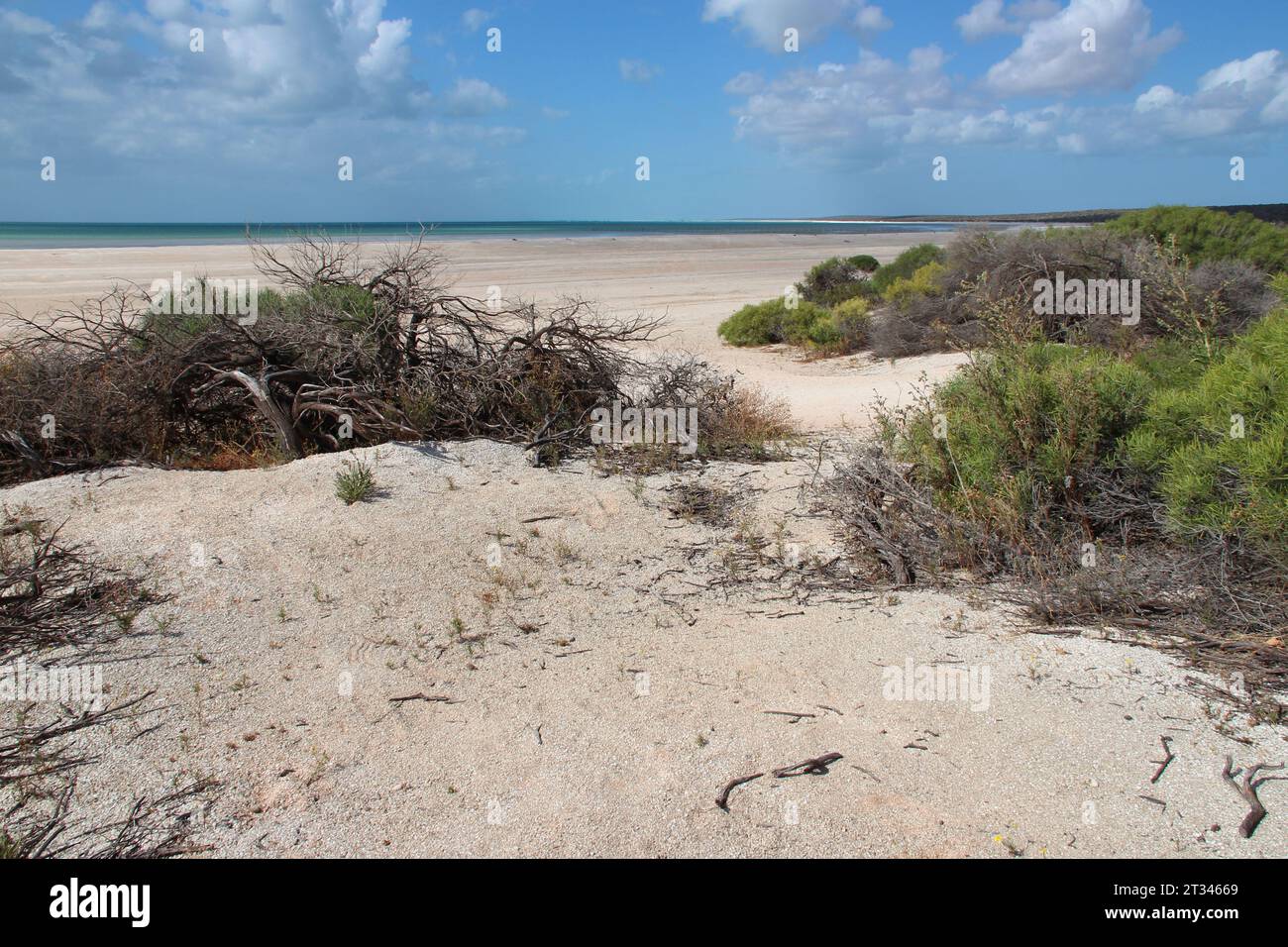 indian ocean at shell beach at shark bay in australia Stock Photo - Alamy