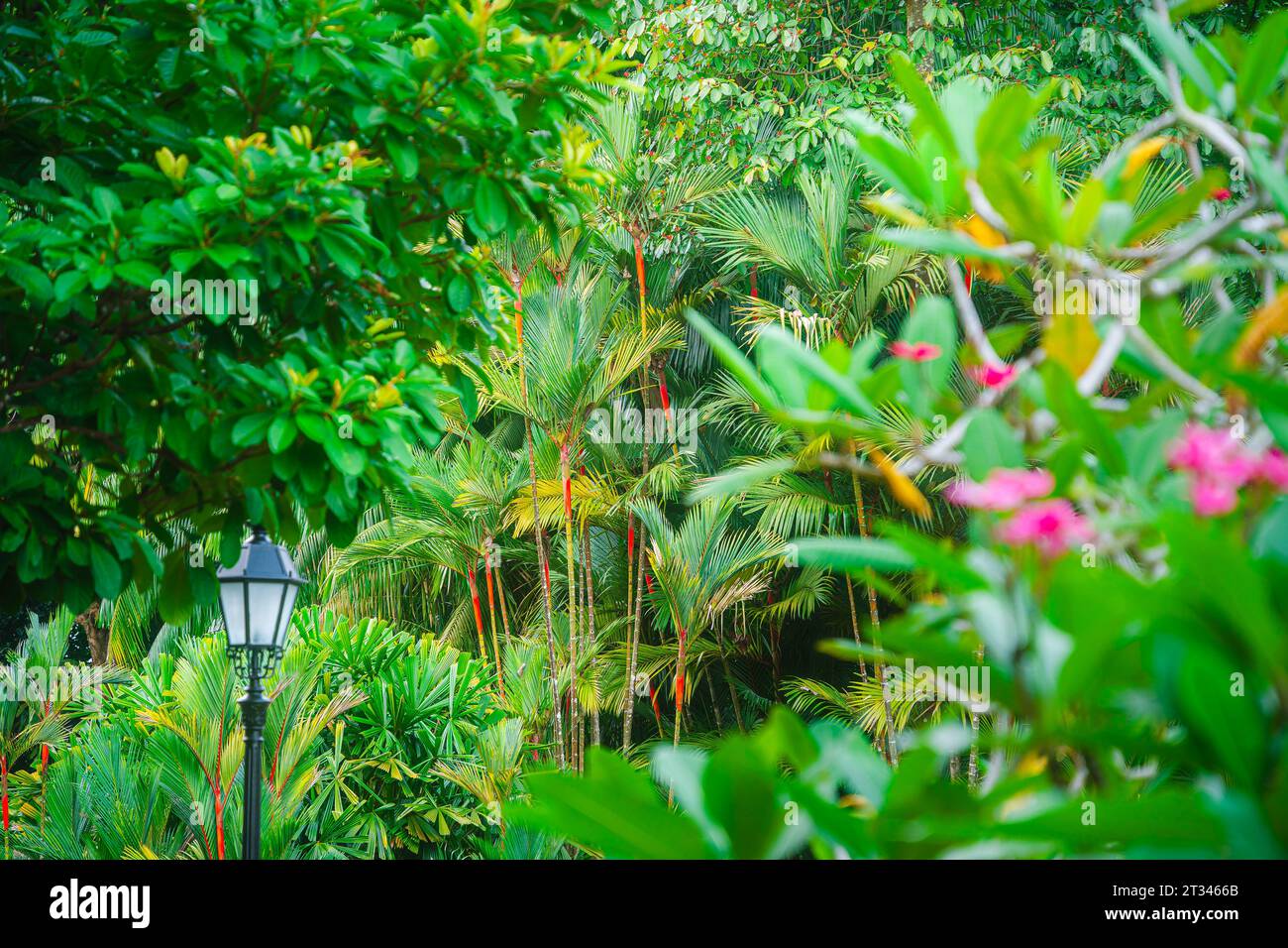 Clock singapore national botanical gardens hi-res stock photography and ...