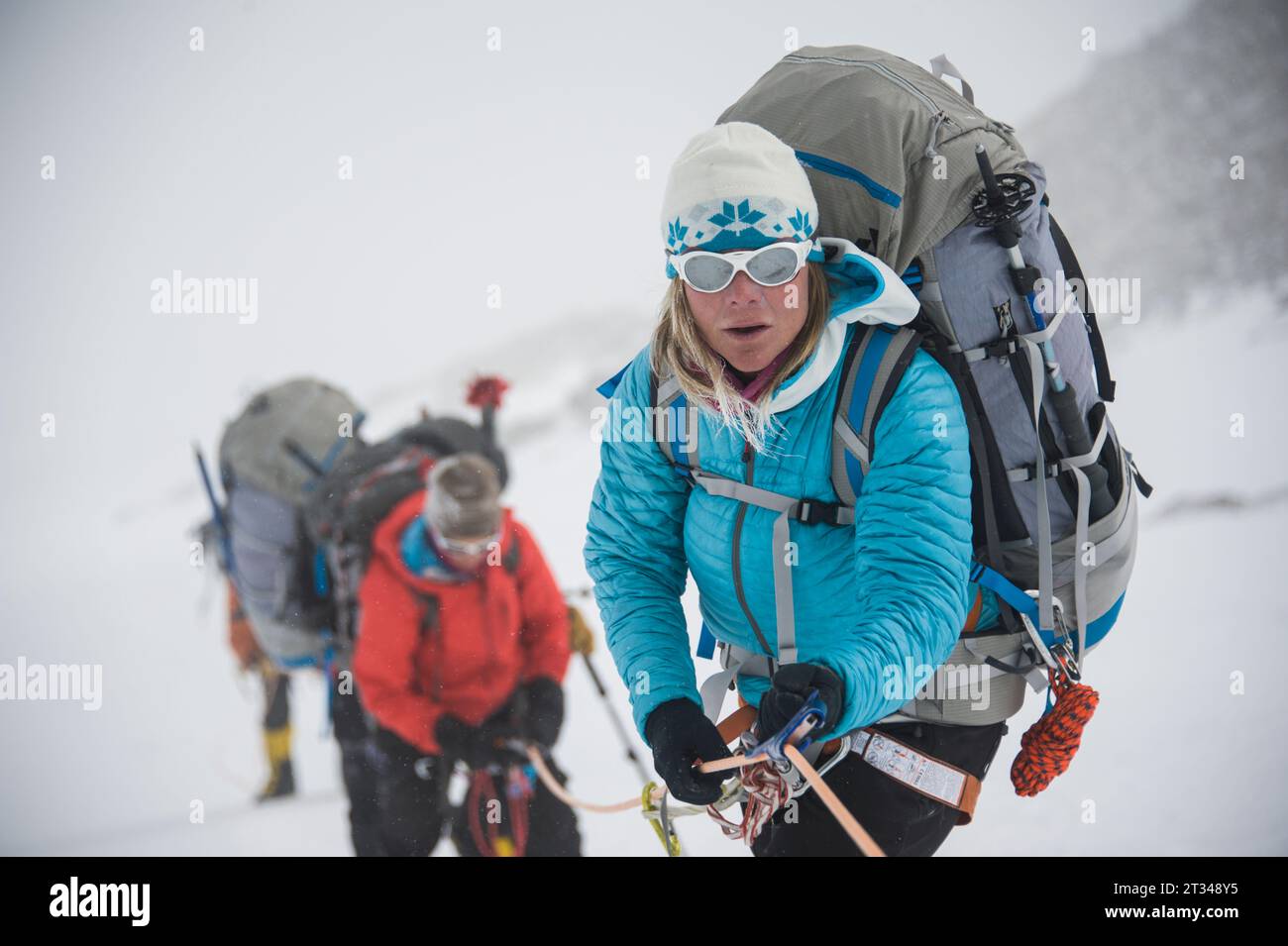 Ellsworth mountains antarctica hi-res stock photography and images - Alamy