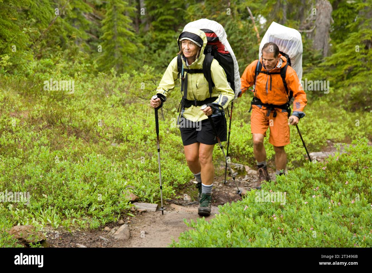 Two people hiking in the rain with coats and pack covers on Stock Photo ...