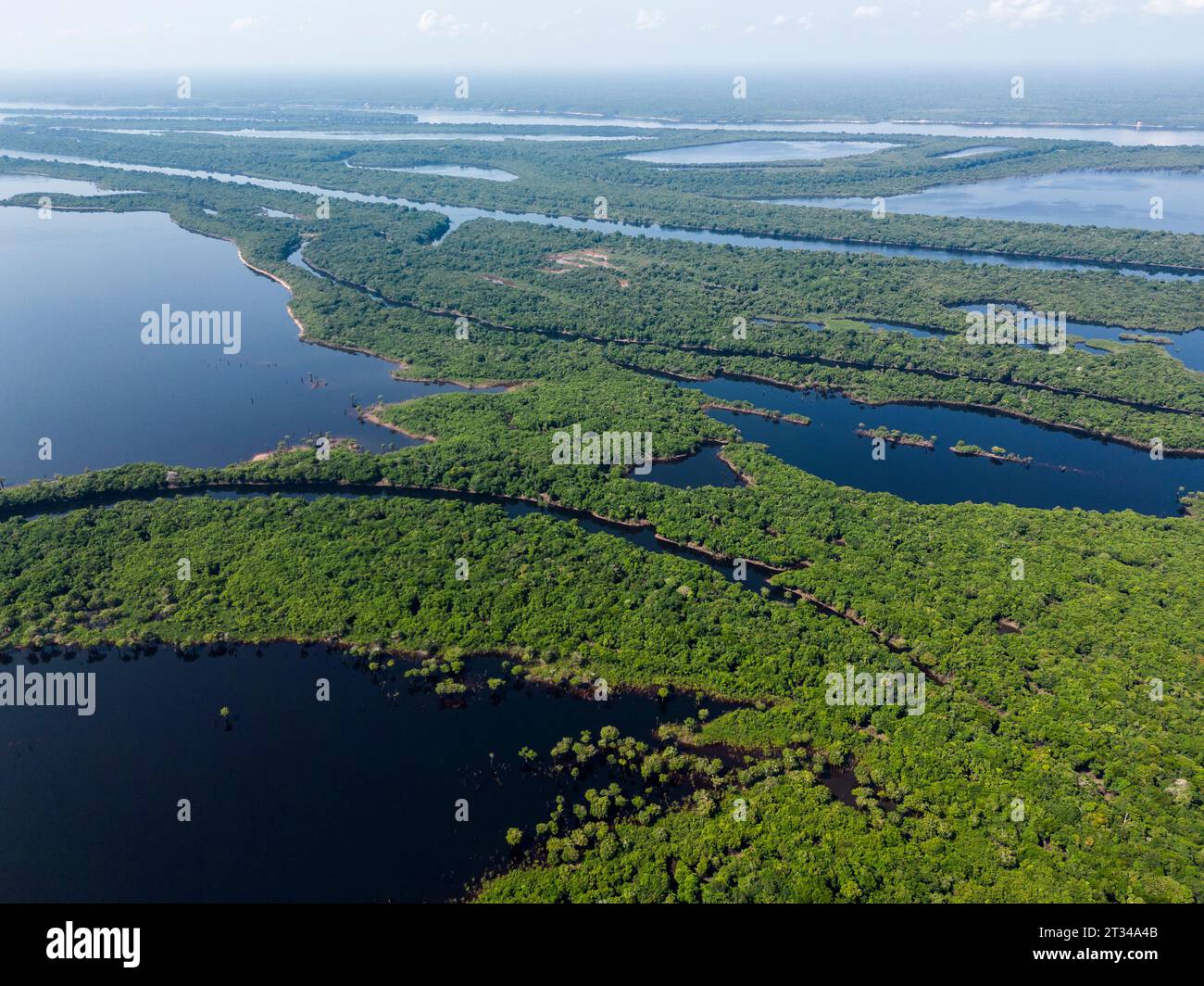 Beautiful aerial view to green amazon rainforest Anavilhanas islands ...