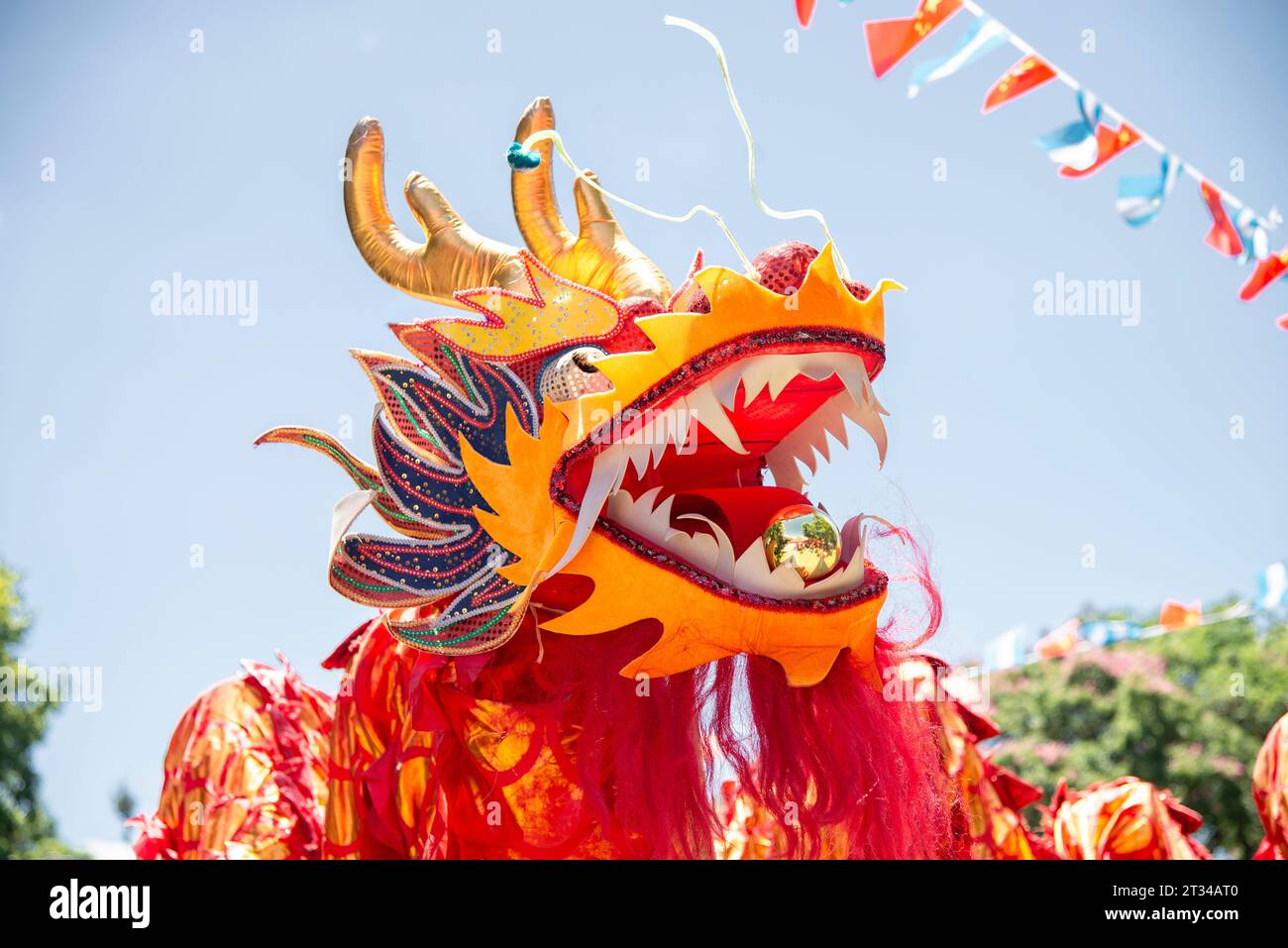 Typical Chinese dragon doll in Chinese New Year celebration Stock Photo ...