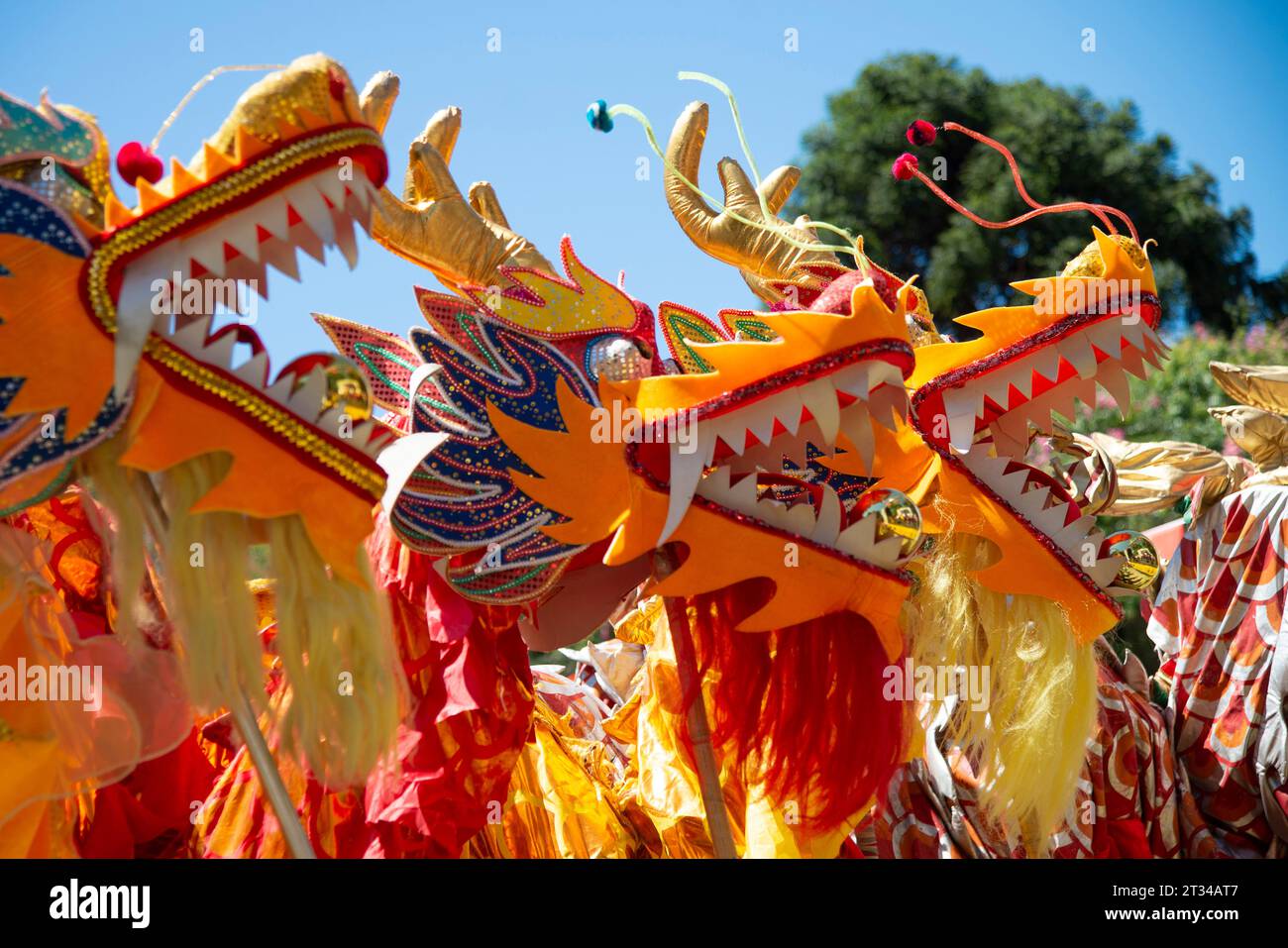 Typical Chinese dragon doll in Chinese New Year celebration Stock Photo ...