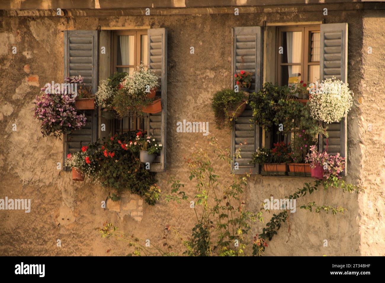 Window boxes and wooden shutters in Bergamo Stock Photo - Alamy