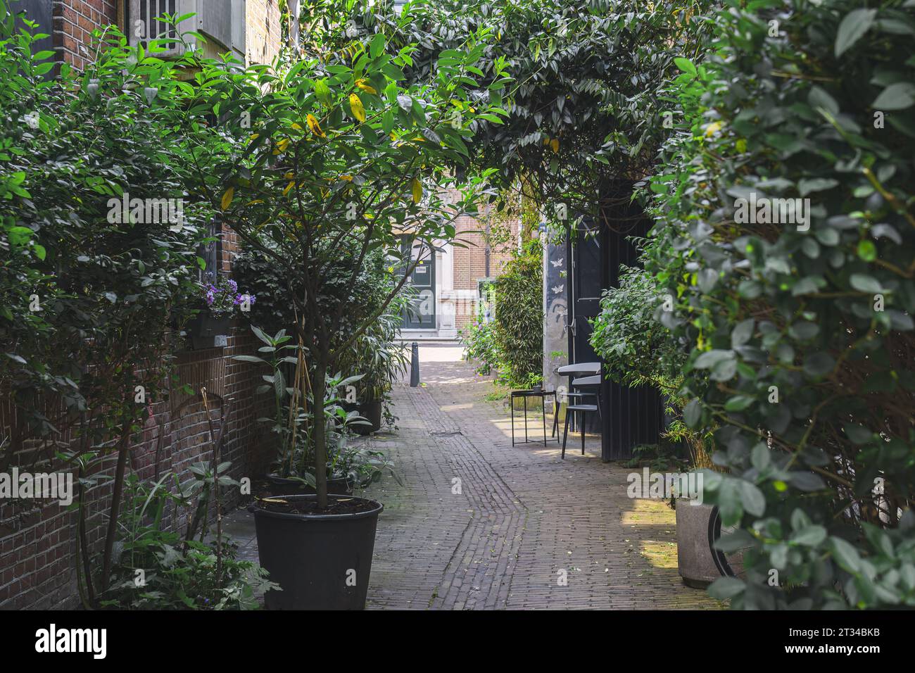 Dutch house garden backyard hi-res stock photography and images - Alamy
