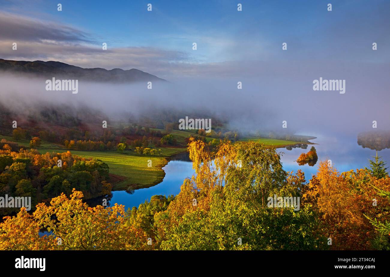 4 queens hi-res stock photography and images - Alamy