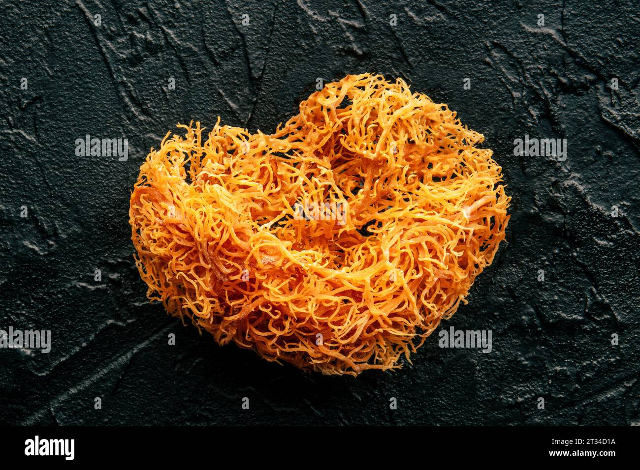 Irish sea moss, heart-shaped. Chondrus Crispus, healthy organic raw ...