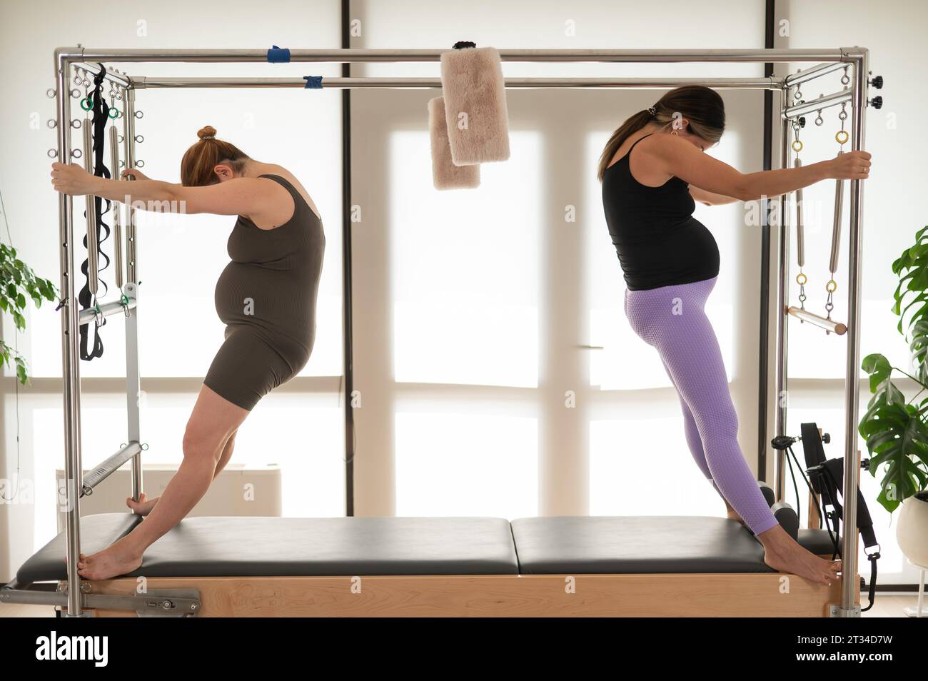 Two pregnant women are doing Pilates on a Cadillac reformer Stock Photo ...