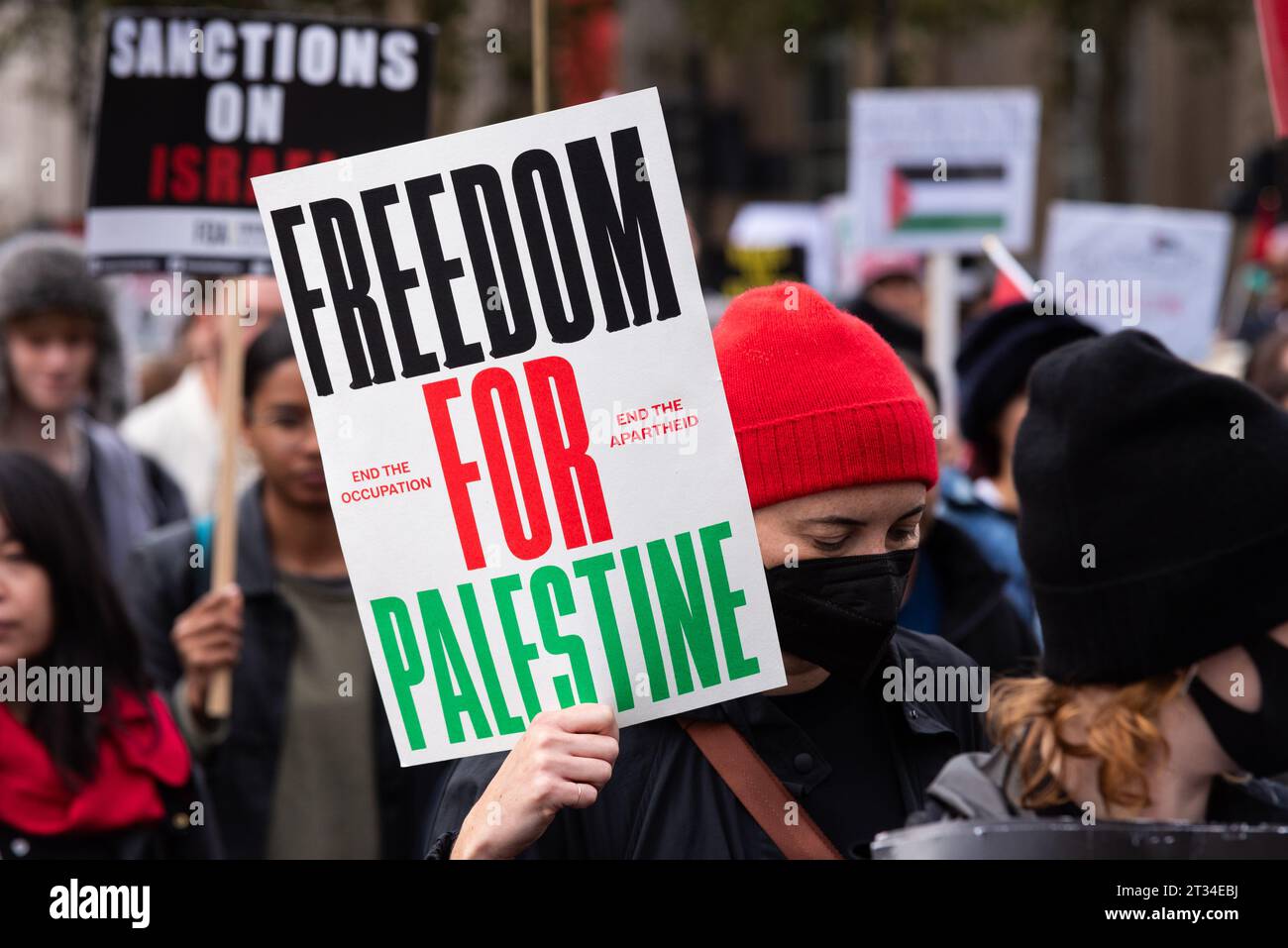 Protester with Freedom for Palestine placard at a Free Palestine ...