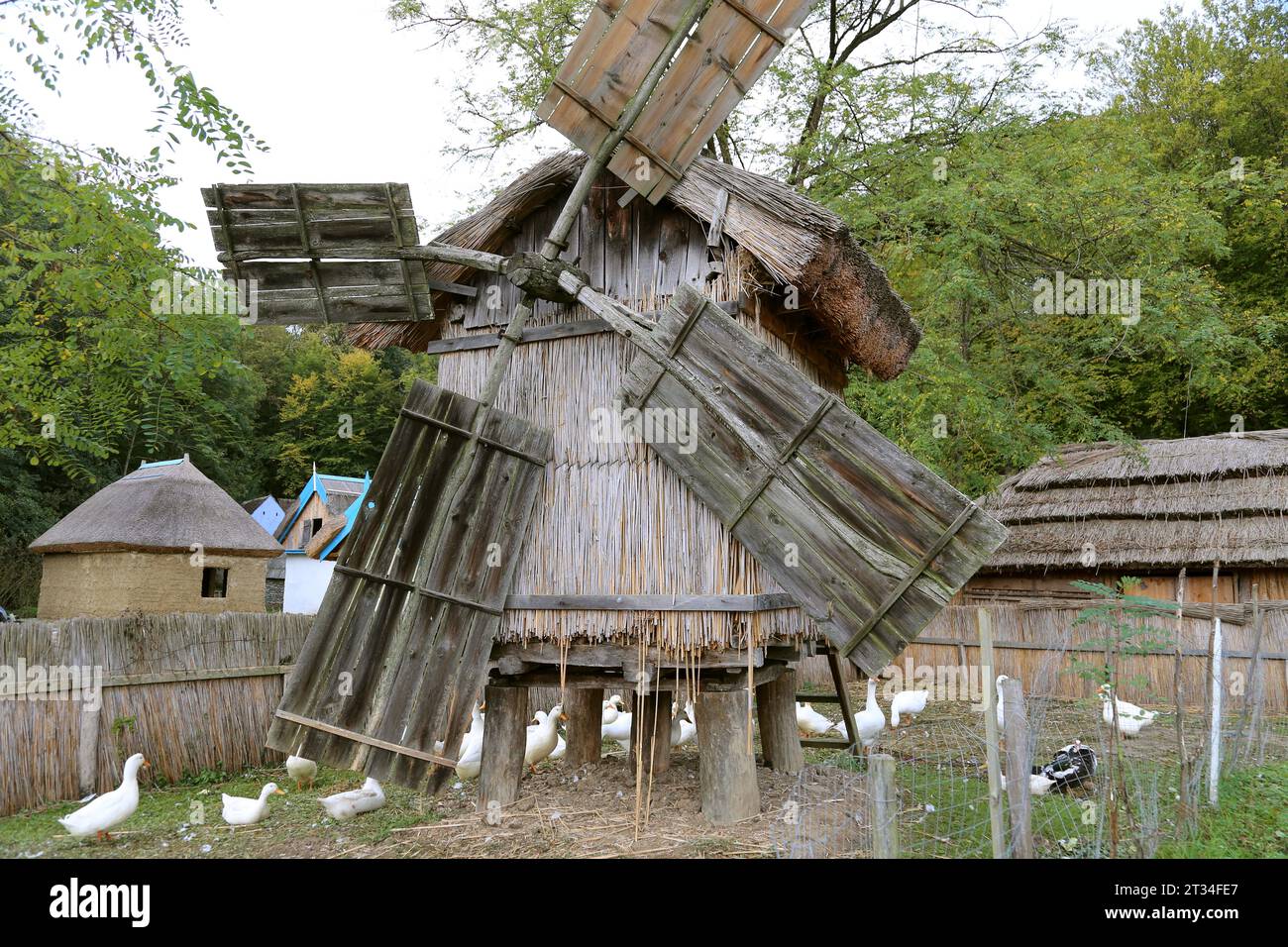 Dumbrava sibiului nature reserve hi-res stock photography and images ...