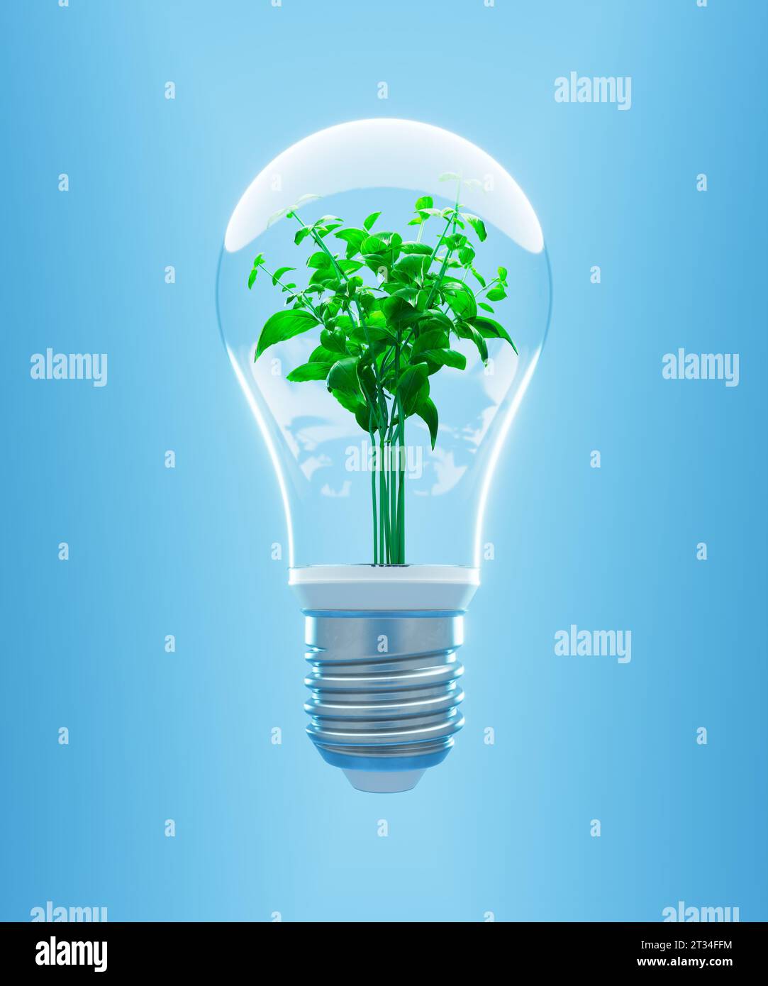 Green plant growing in the light bulb at the blue background. Concept ...